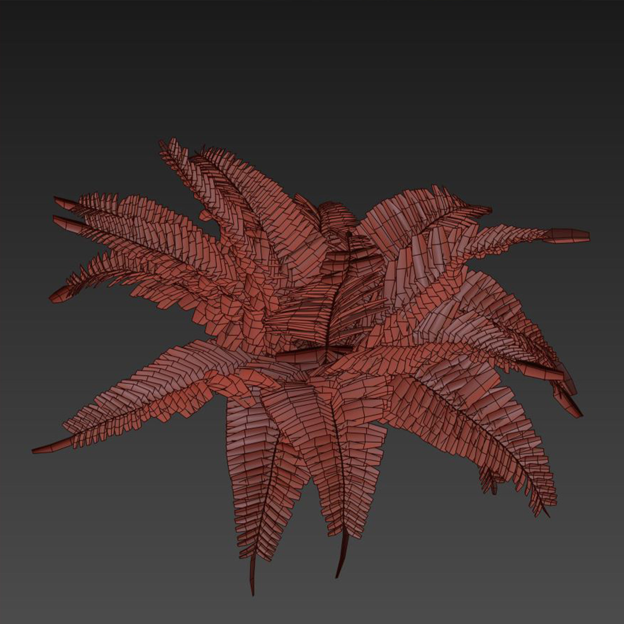 Fern plant 3D model | CGTrader