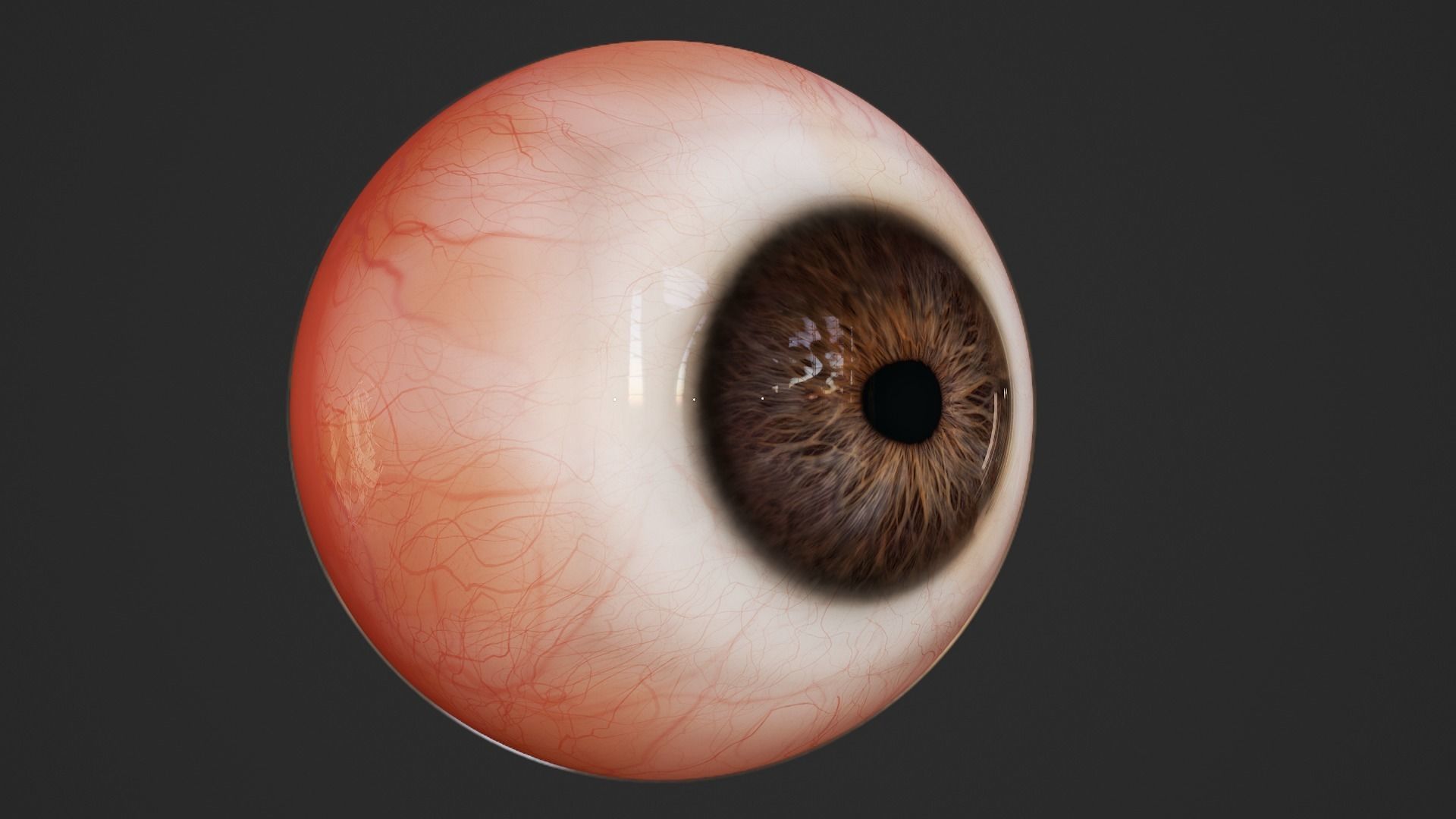 3D model Realistic Human eye VR / AR / low-poly | CGTrader