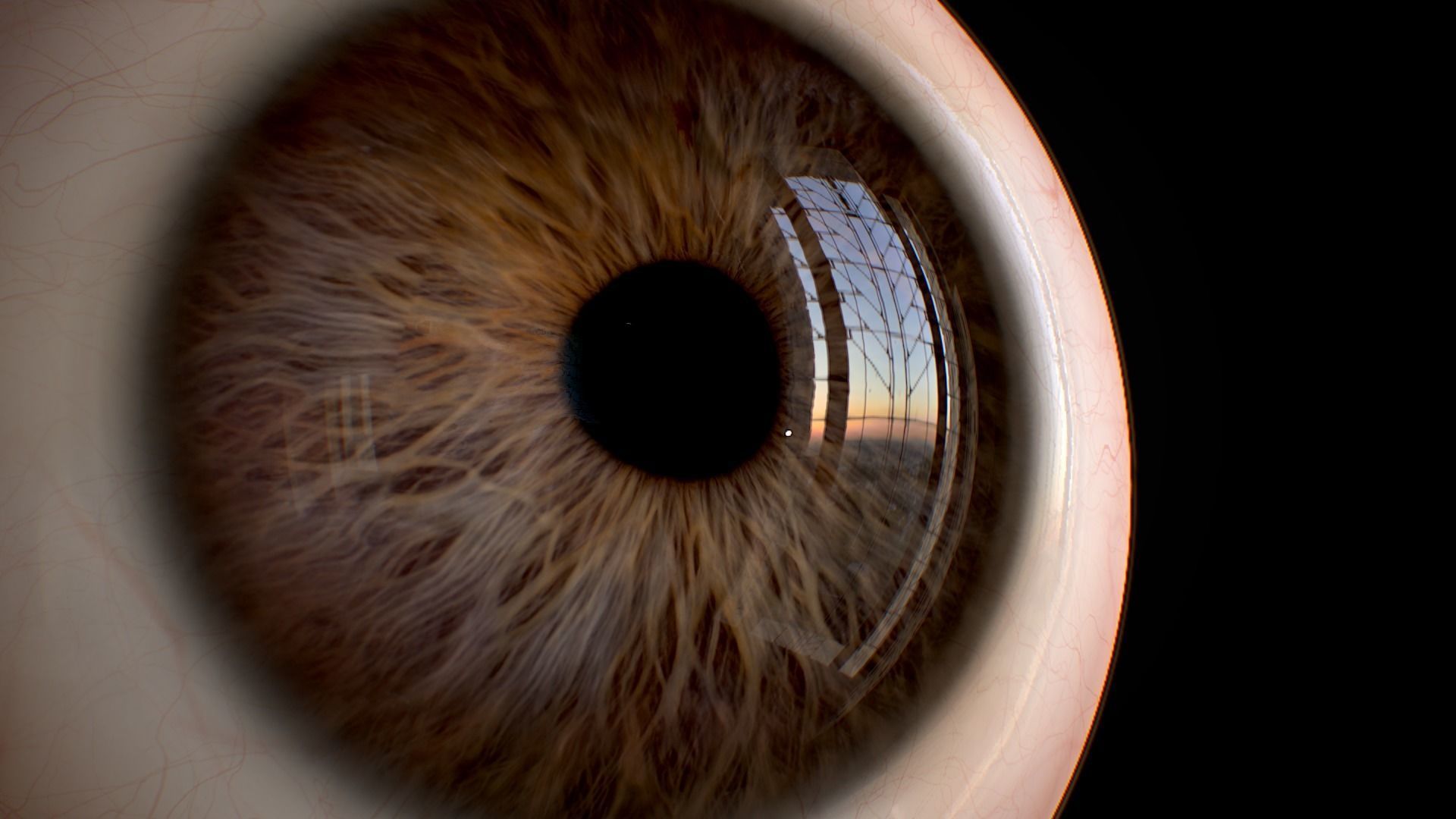3D model Realistic Human eye VR / AR / low-poly | CGTrader
