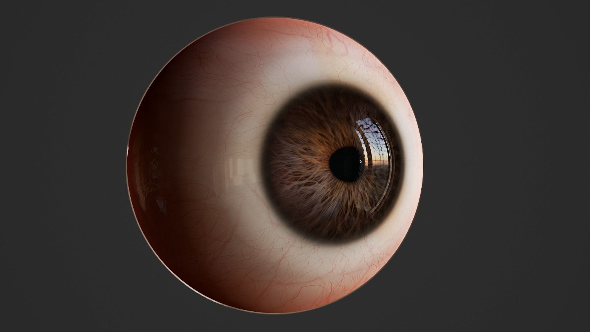 3D model Realistic Human eye VR / AR / low-poly | CGTrader