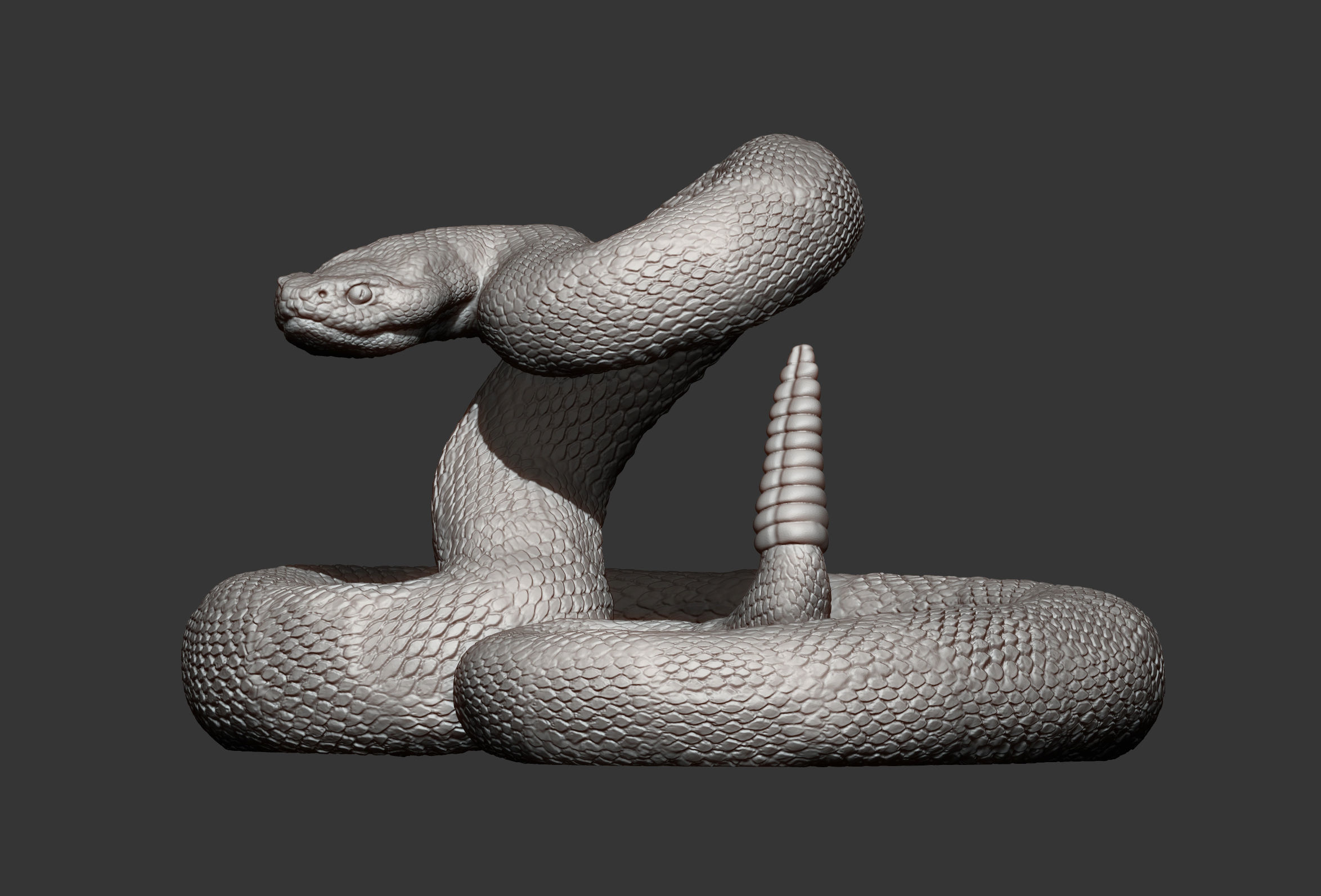 Rattlesnake snake 3D model 3D printable | CGTrader