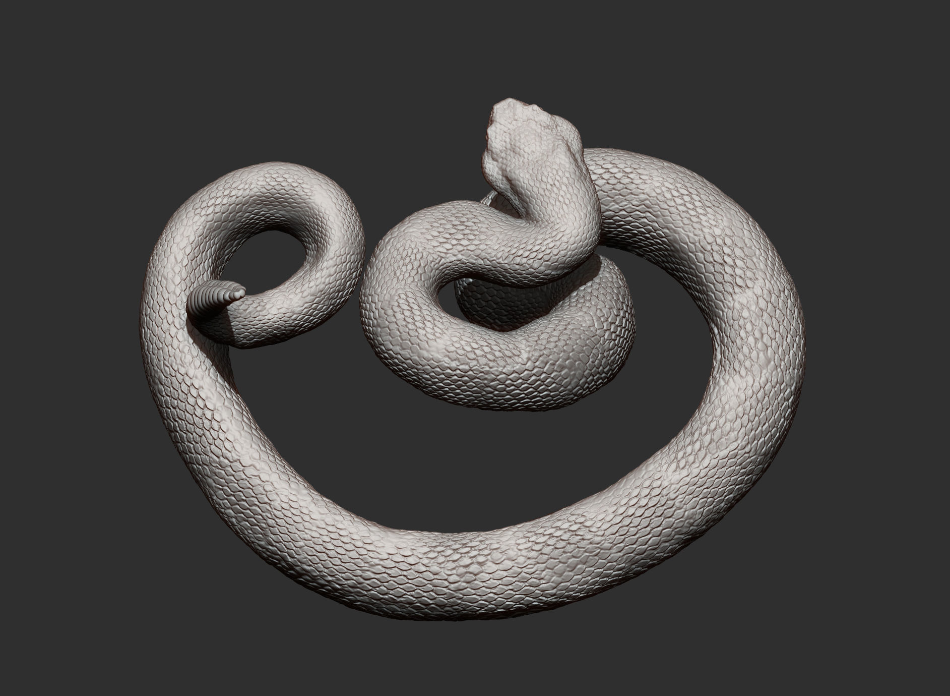 Rattlesnake snake 3D model 3D printable | CGTrader