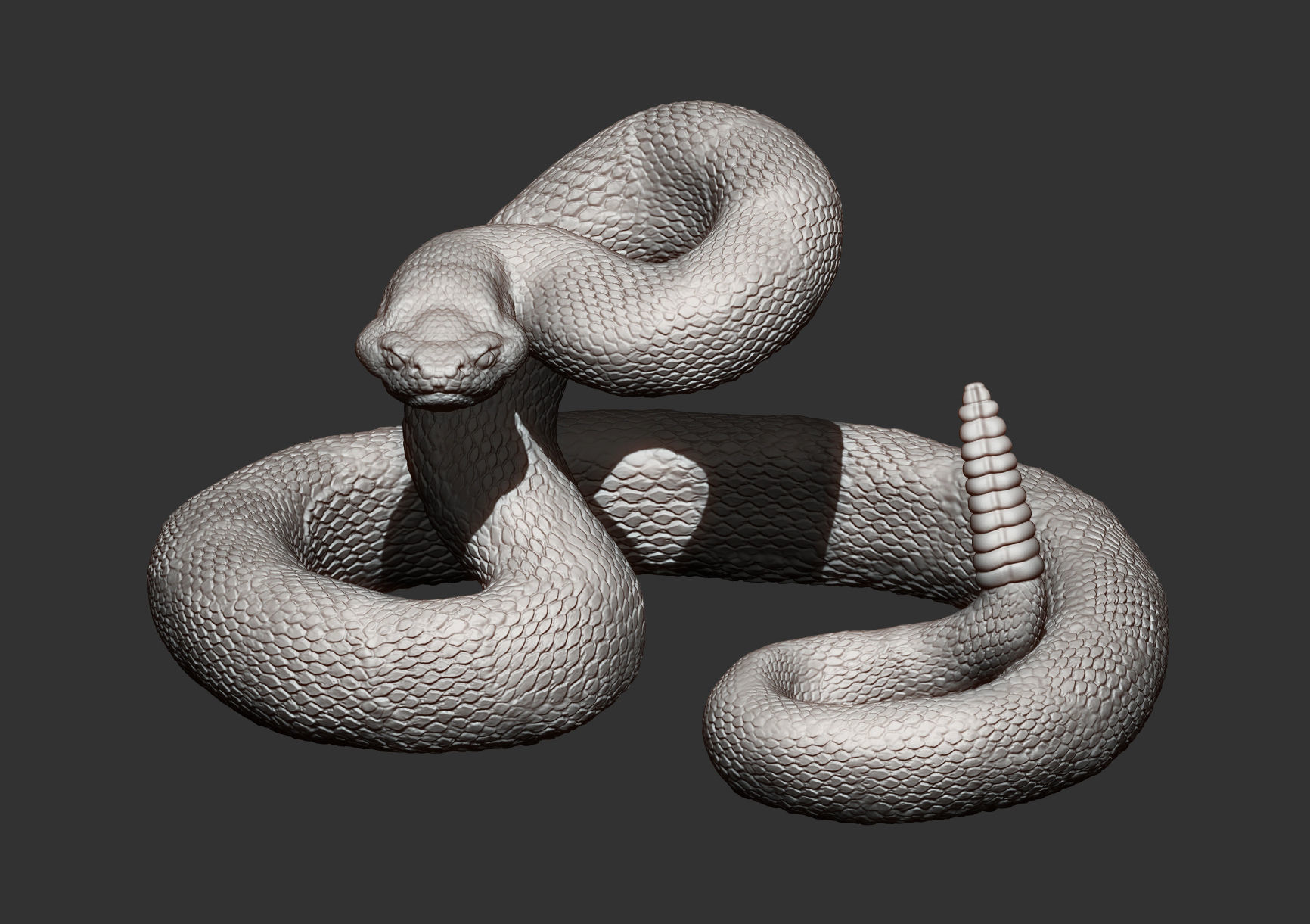Rattlesnake snake 3D model 3D printable | CGTrader