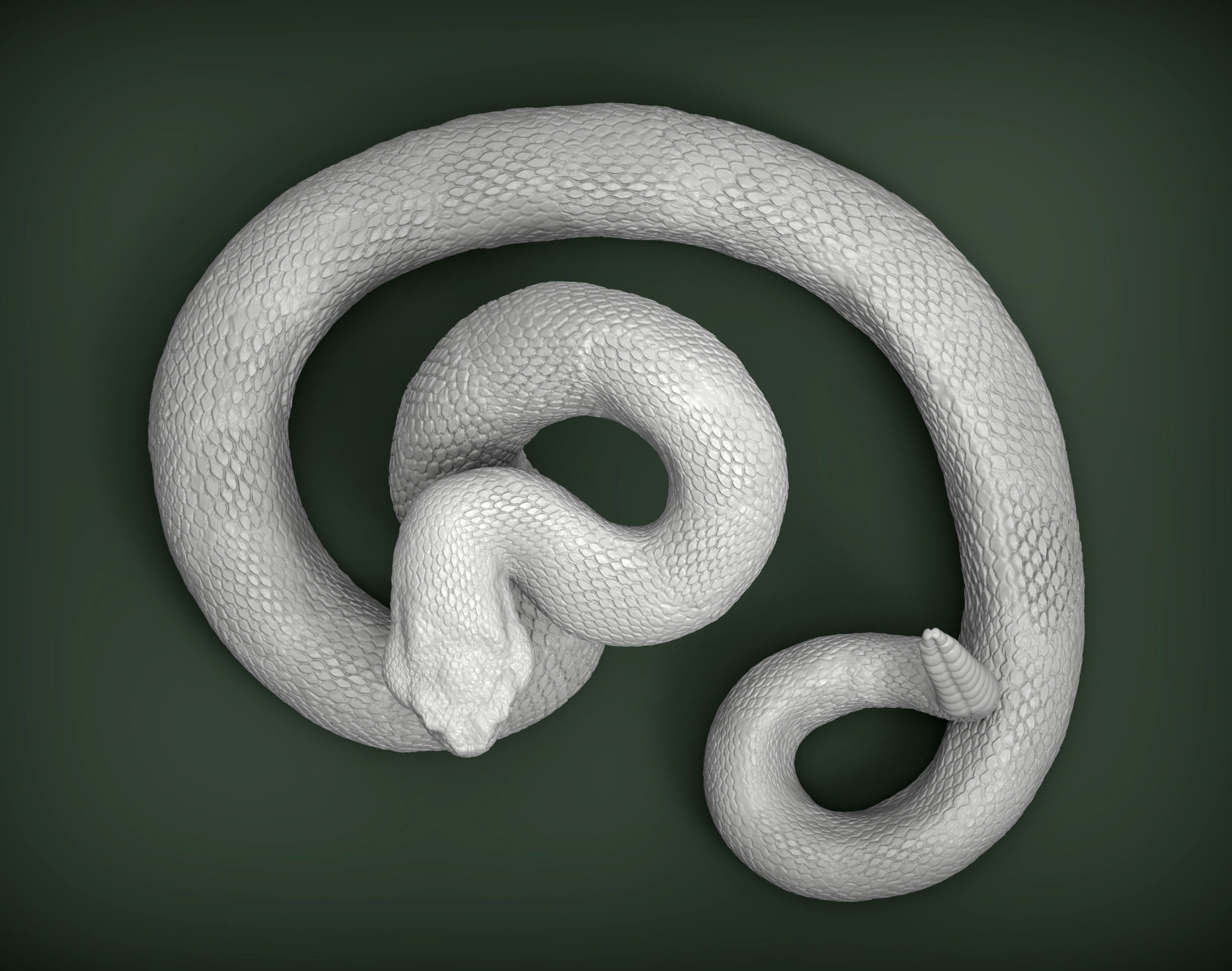 Rattlesnake snake 3D model 3D printable | CGTrader