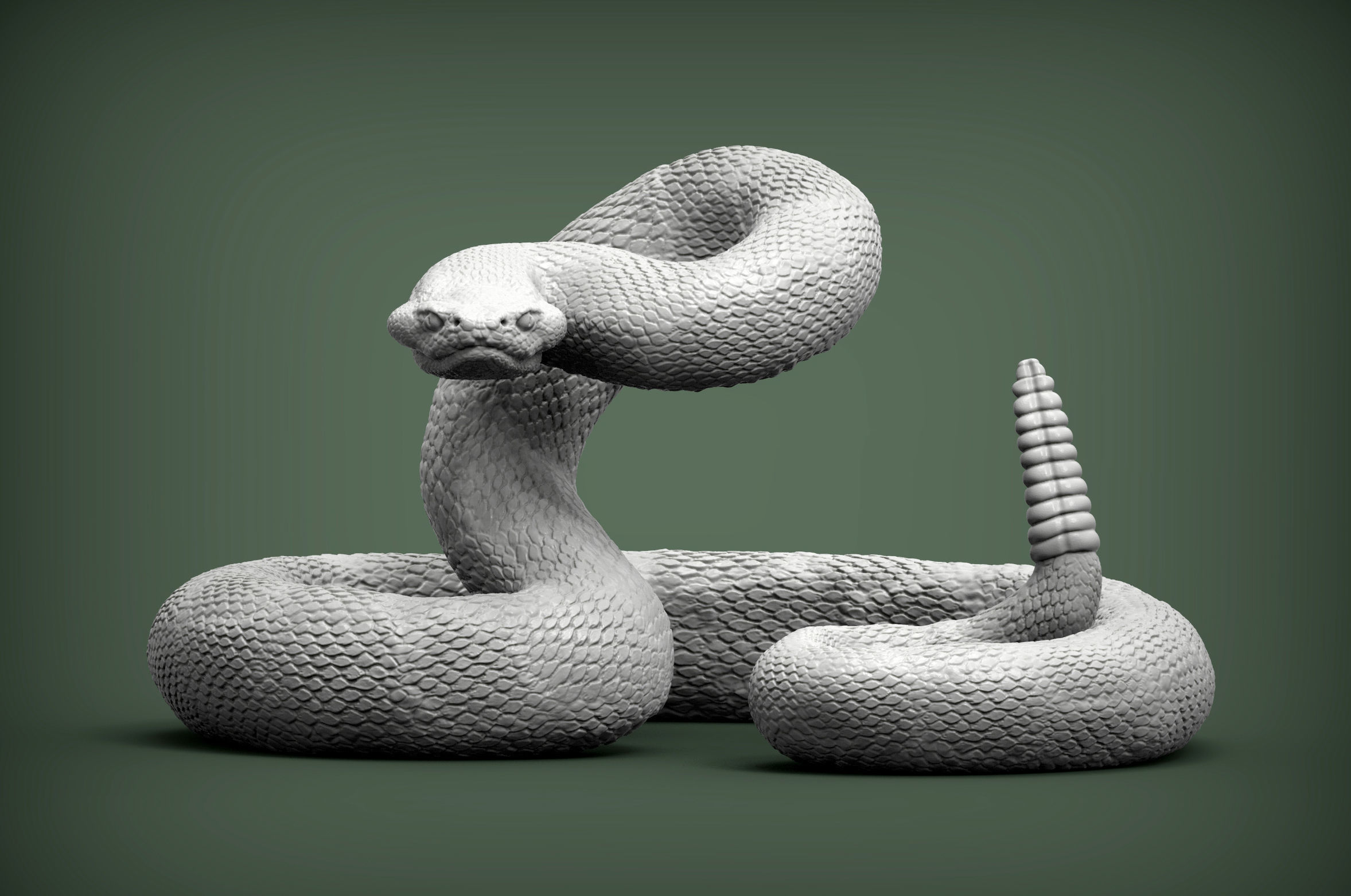 Rattlesnake snake 3D model 3D printable | CGTrader