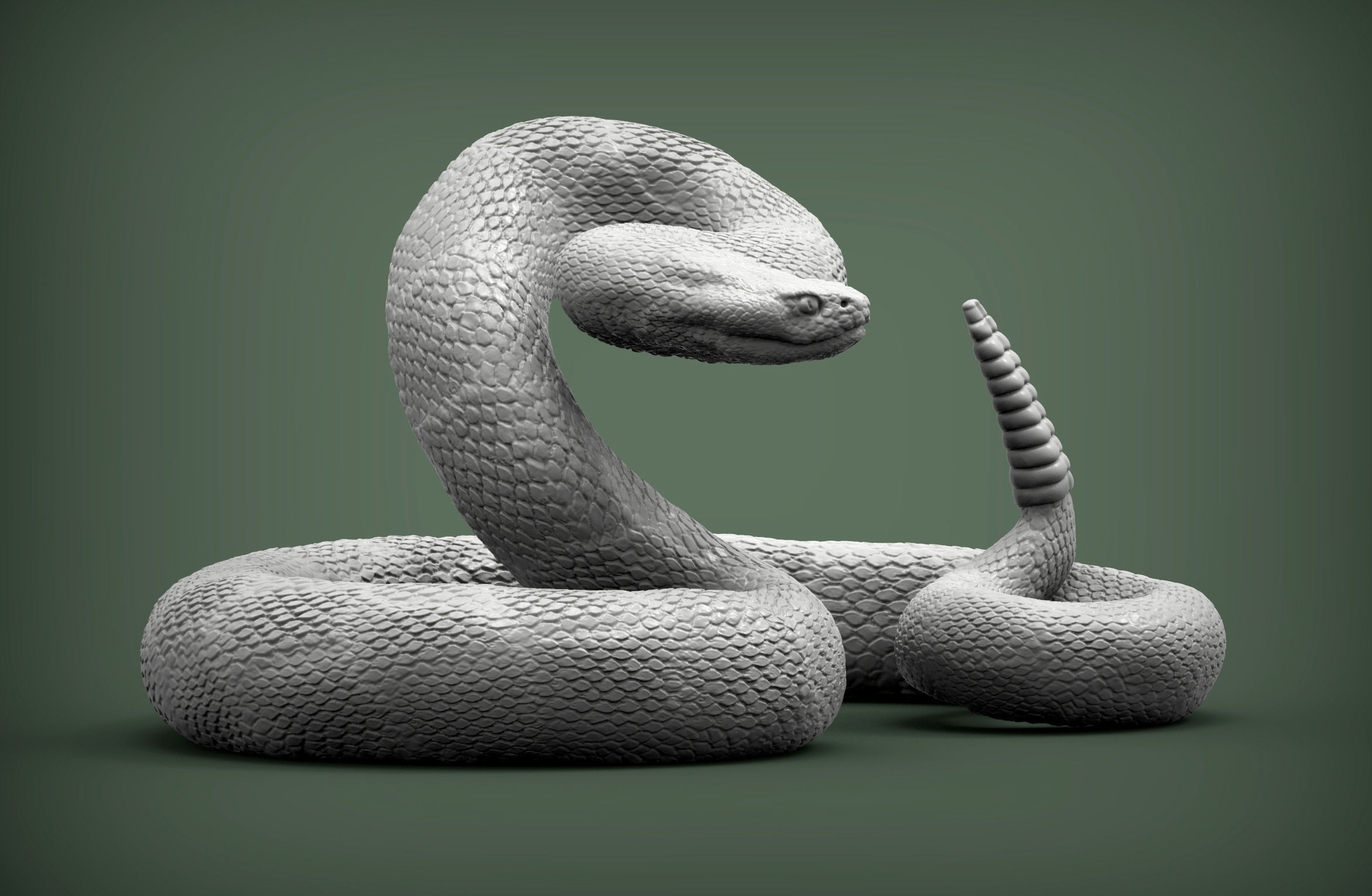 Rattlesnake snake 3D model 3D printable | CGTrader