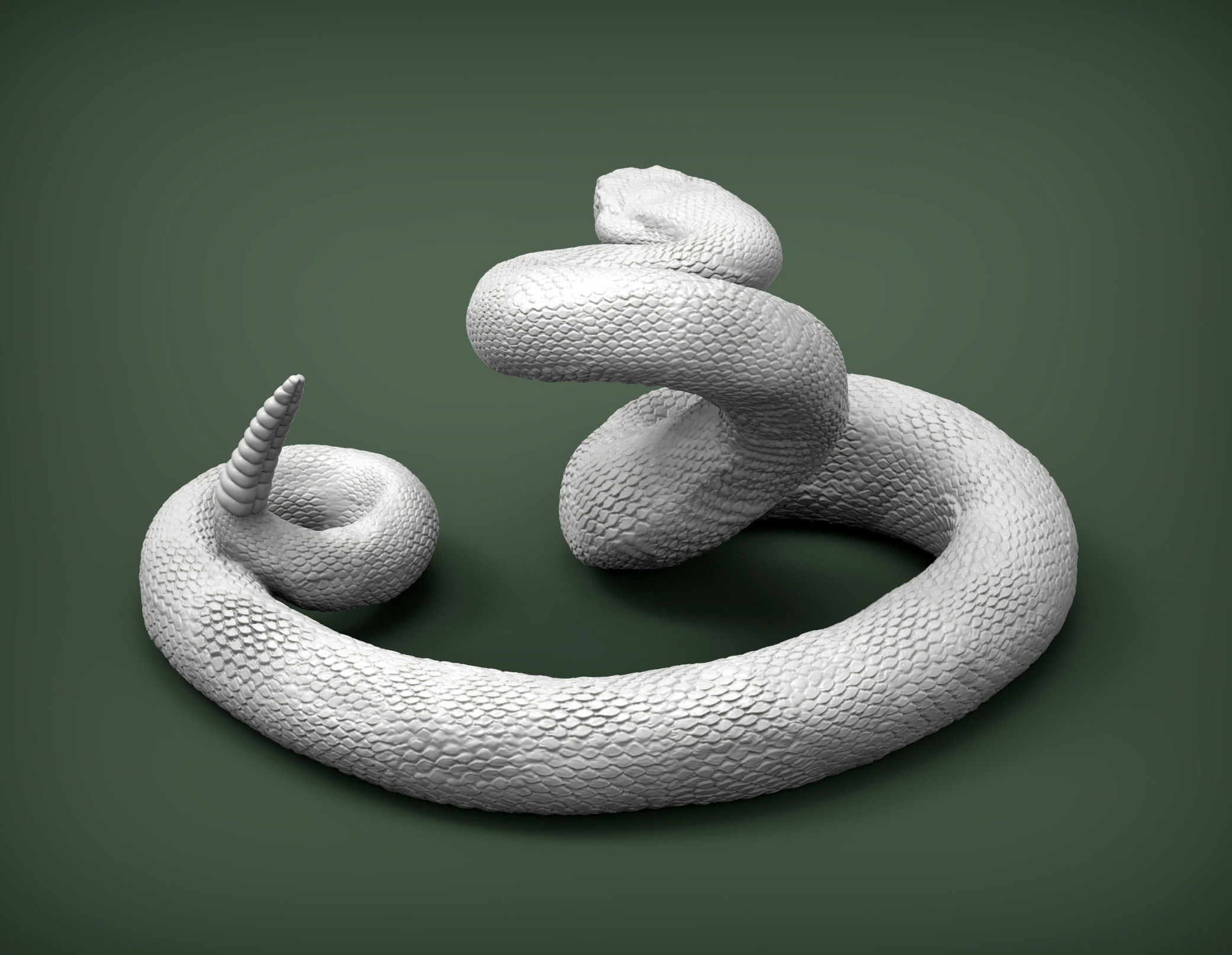 Rattlesnake snake 3D model 3D printable | CGTrader