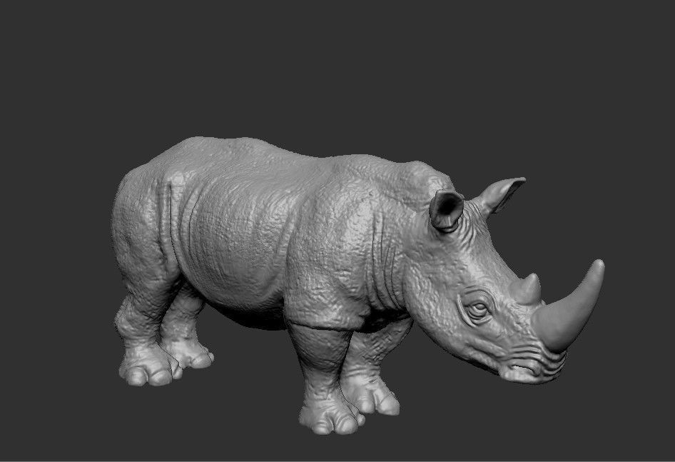 Rhinoceros model 3D model | CGTrader