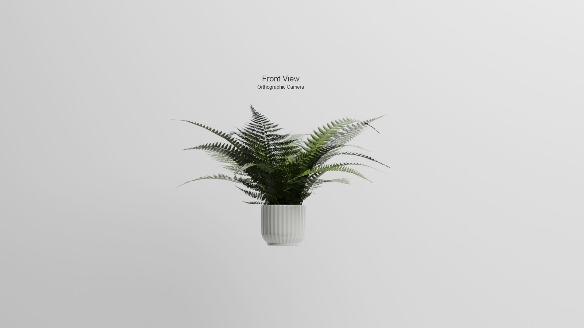 3D model Modern Fern Plant Pot 3D Model VR / AR / low-poly | CGTrader