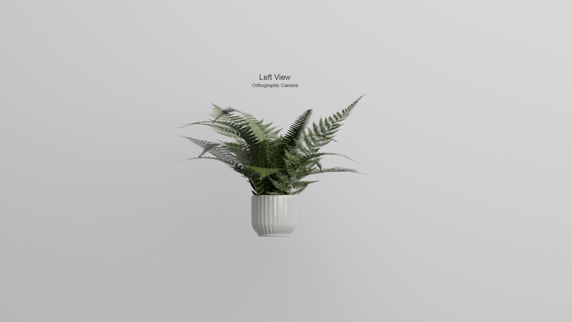 3D model Modern Fern Plant Pot 3D Model VR / AR / low-poly | CGTrader
