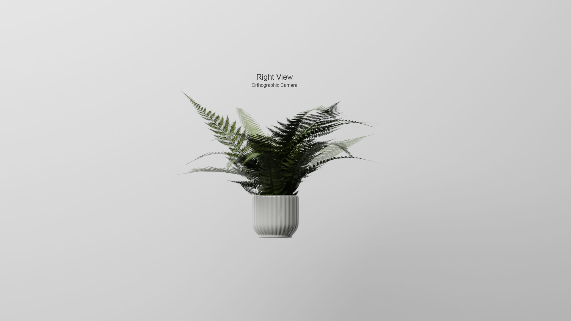 3D model Modern Fern Plant Pot 3D Model VR / AR / low-poly | CGTrader