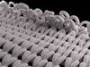 Weaving And Knitting Process Animated 3D model animated | CGTrader