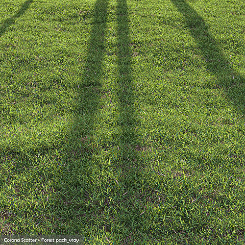 Bermuda grass 3D model | CGTrader