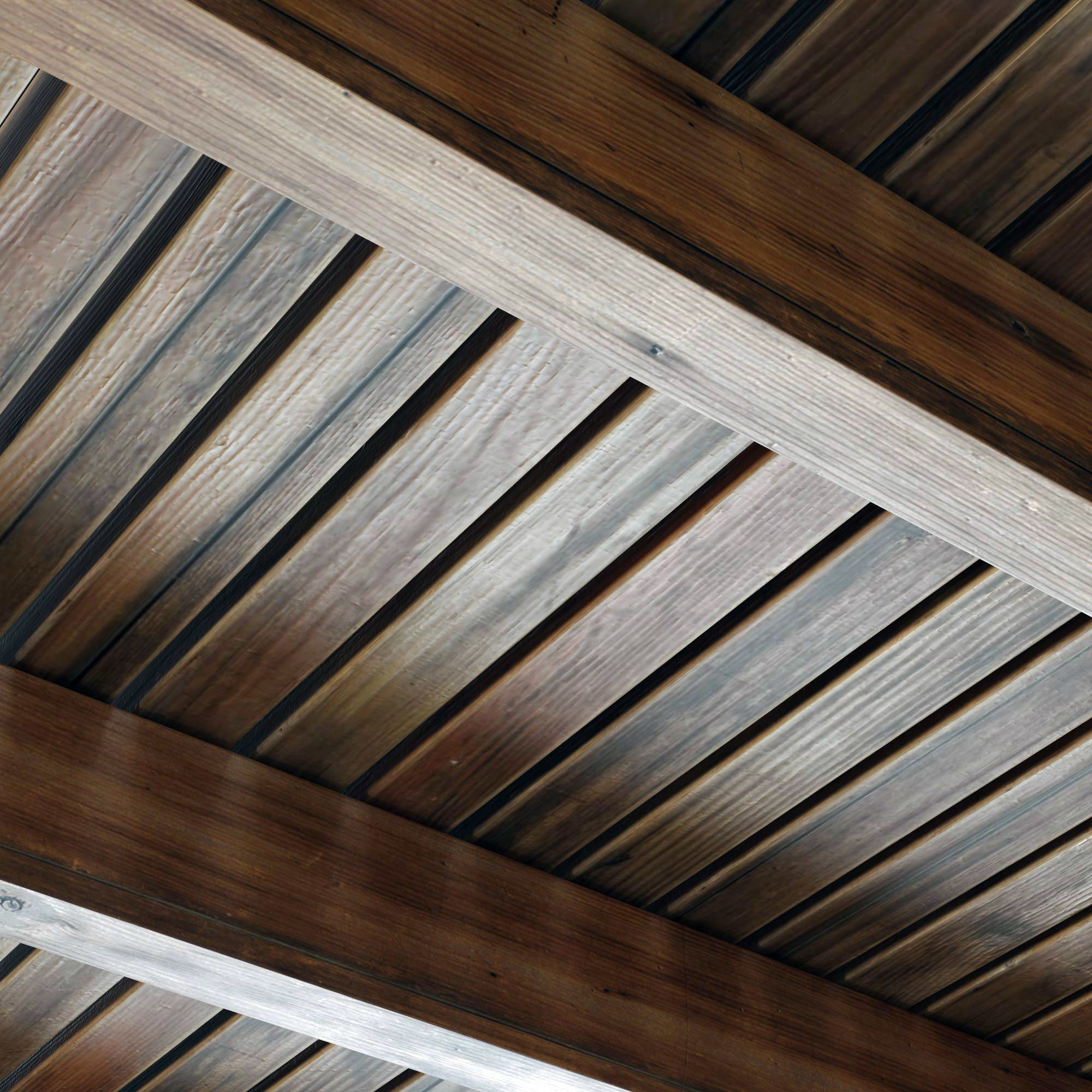 Branches rectangular ceiling N1 3D model | CGTrader