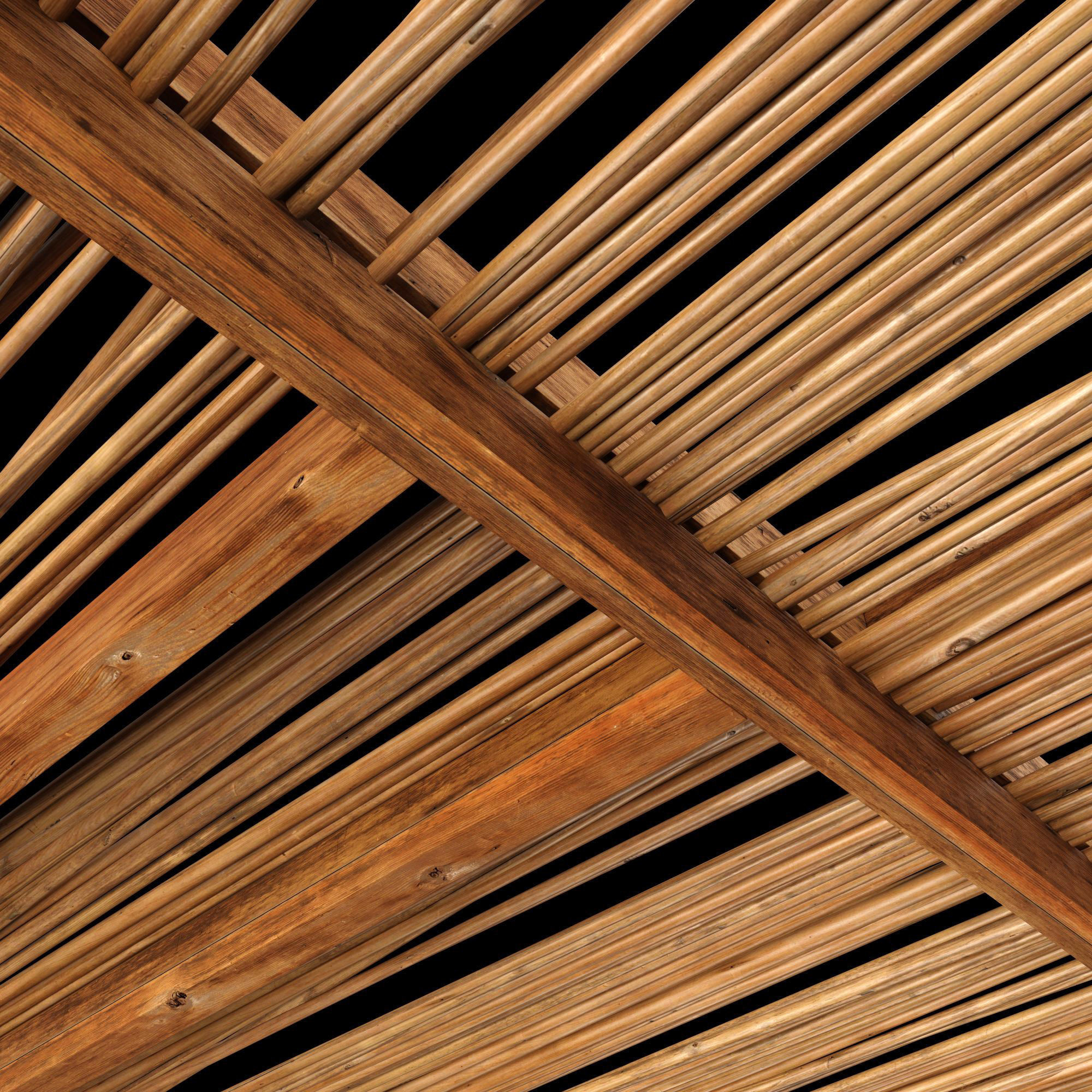 Ceiling straight thin branch n4 3D model | CGTrader