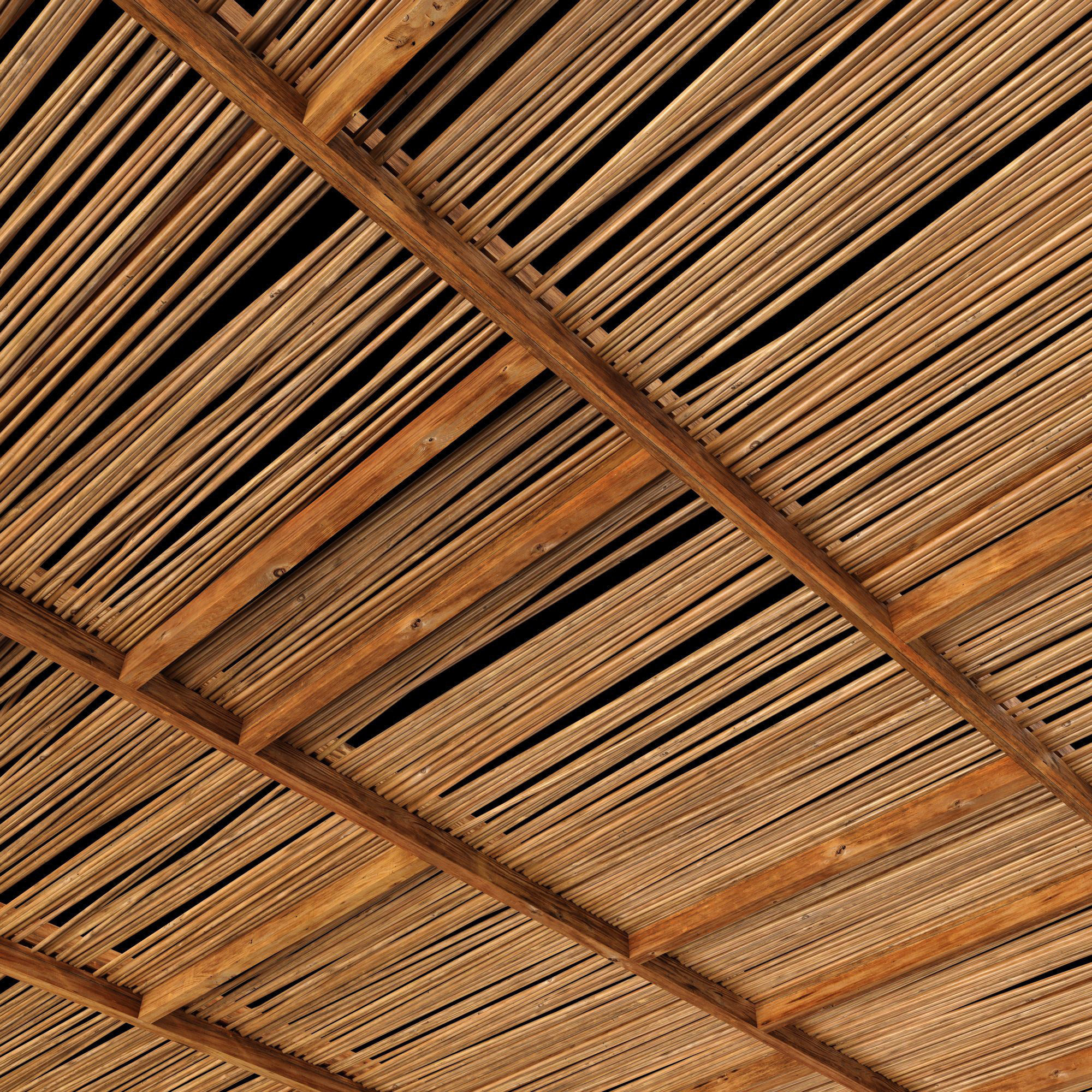 Ceiling straight thin branch n4 3D model | CGTrader