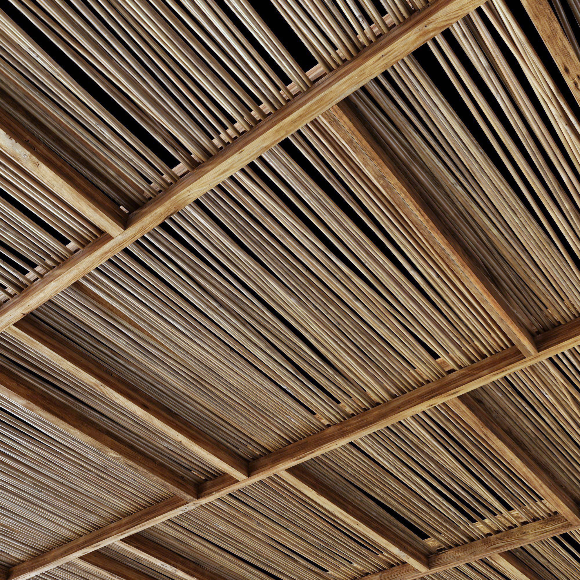 Ceiling straight thin branch n4 3D model | CGTrader