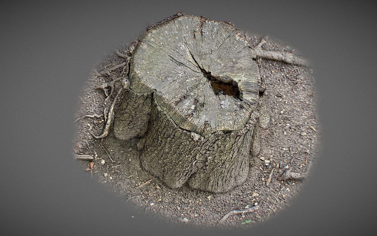 3D model Trunk with water inside VR / AR / low-poly | CGTrader