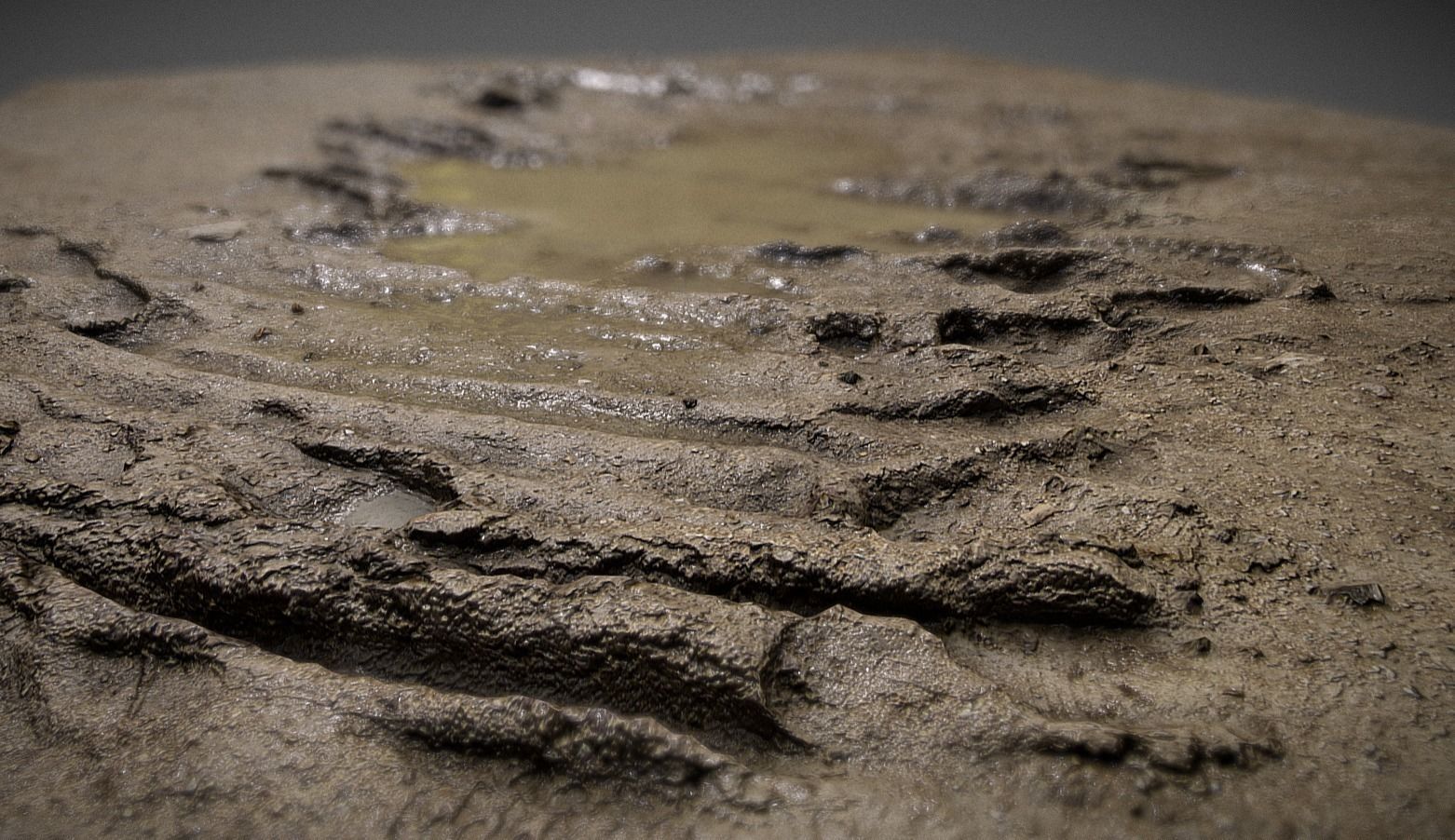 Texture Mud puddle VR / AR / low-poly | CGTrader