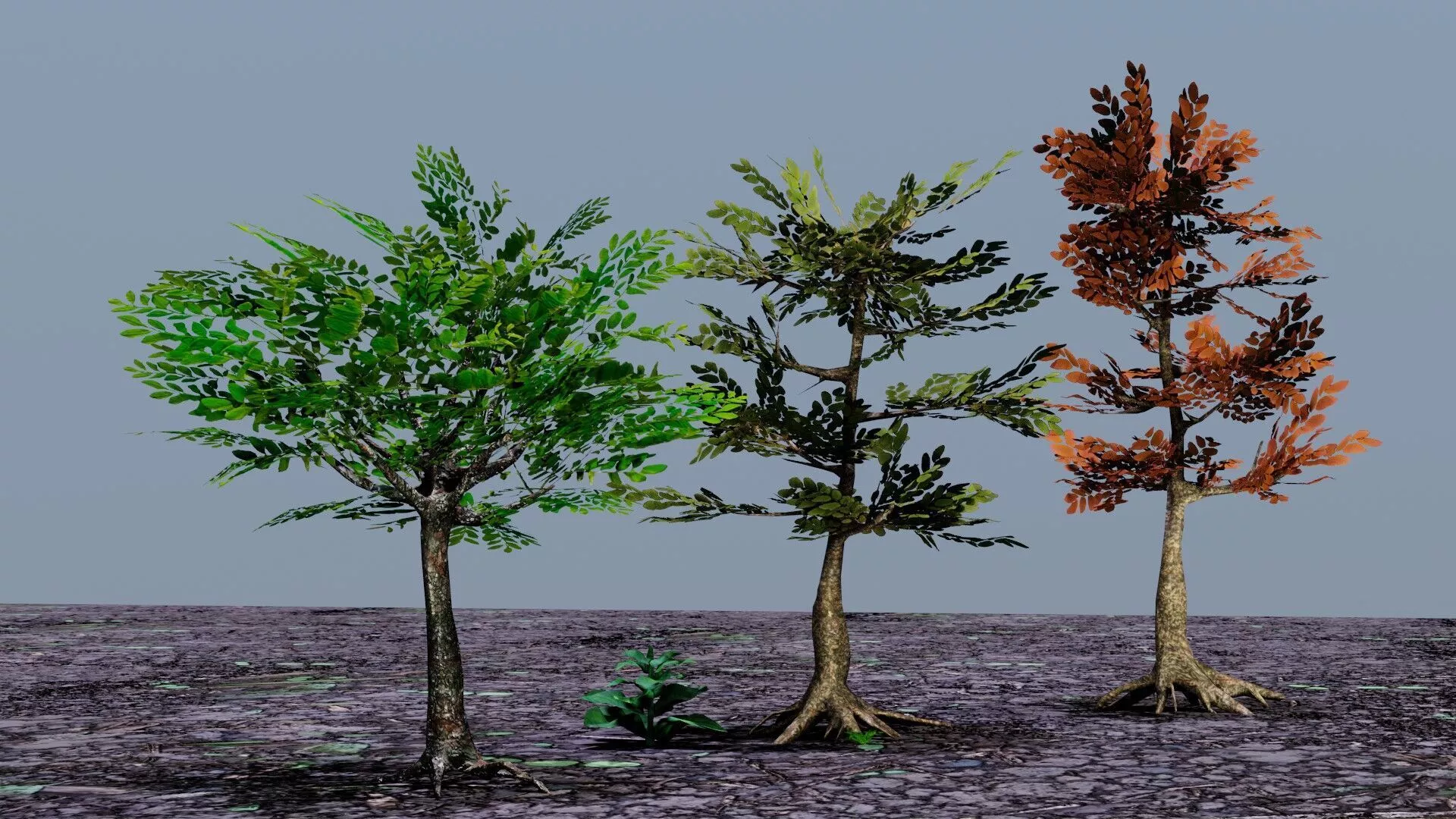 3D model Trees and plants VR / AR / low-poly | CGTrader