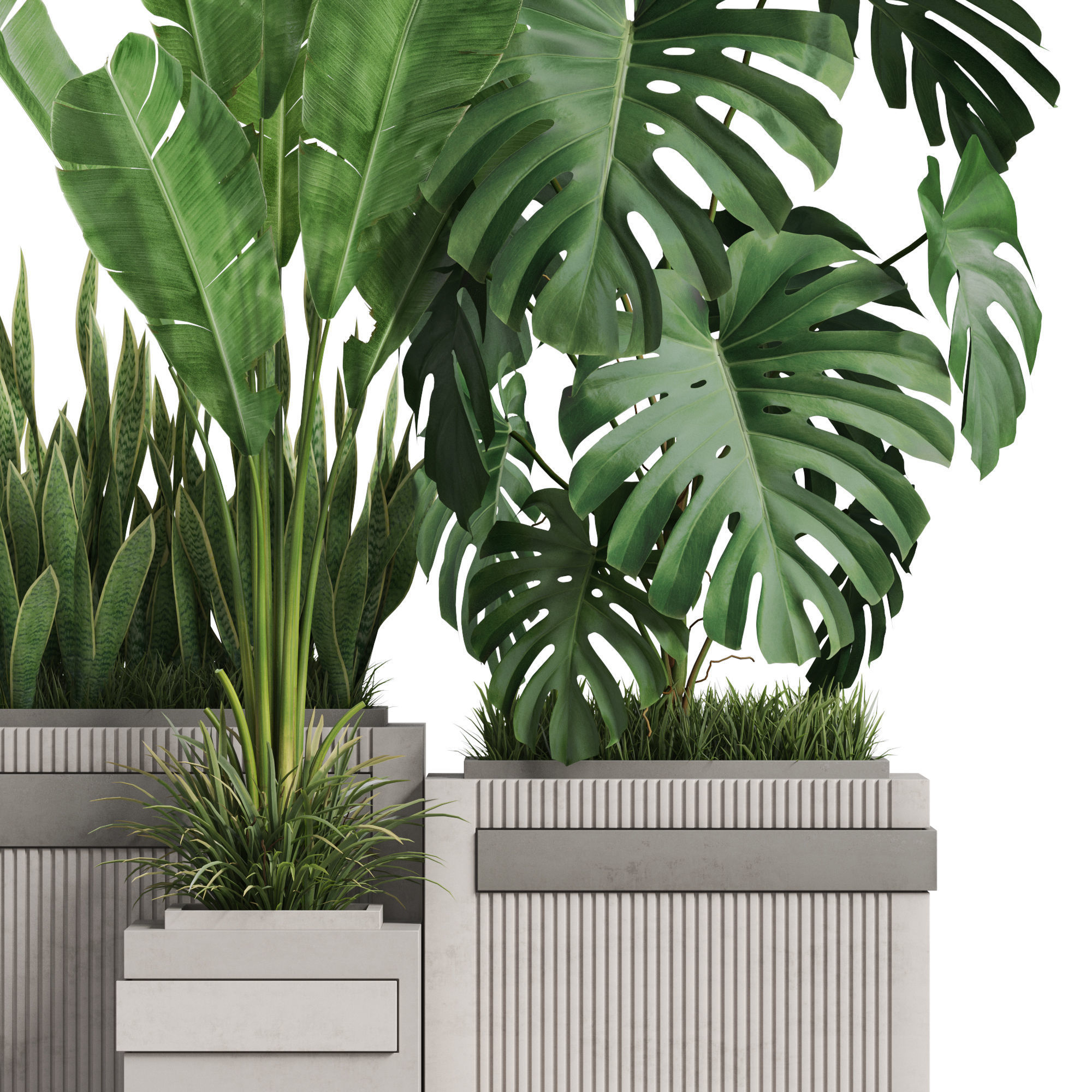 Plants collection 776 3D model | CGTrader