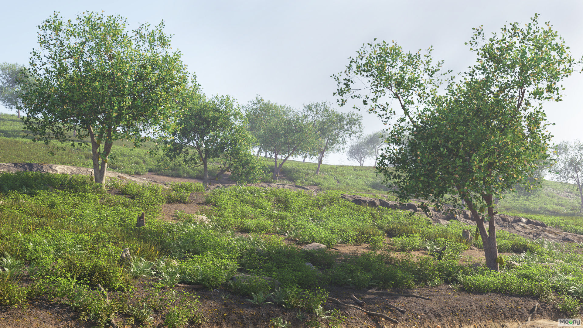 Jack Tree 3D model | CGTrader