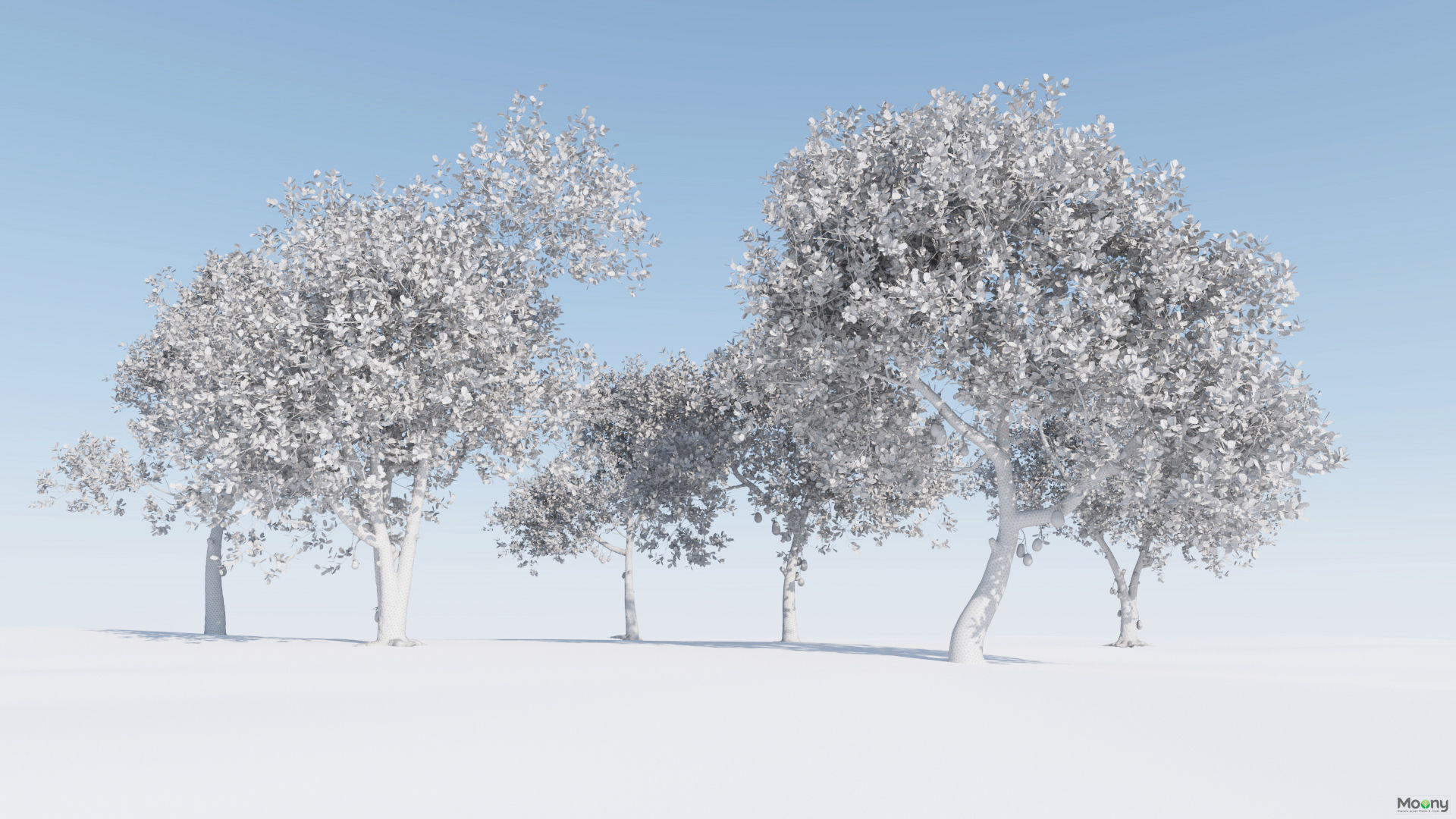 Jack Tree 3D model | CGTrader