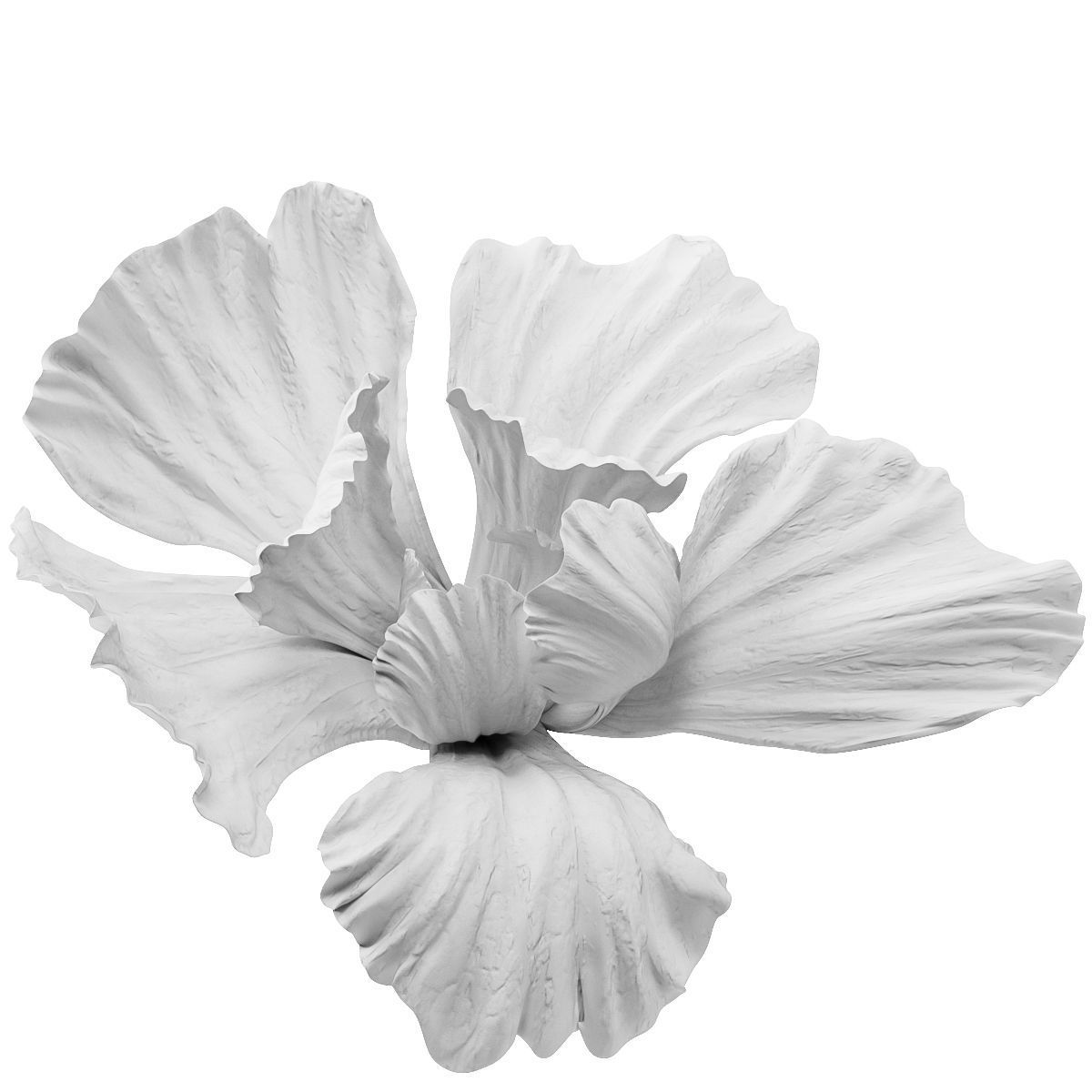 Gypsum flower 3D model | CGTrader