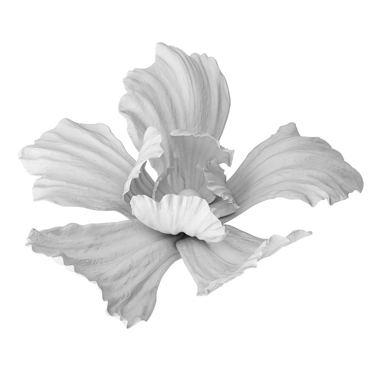 Gypsum flower 3D model | CGTrader
