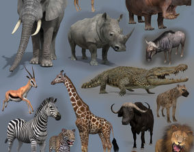 Animal 3D Models | CGTrader