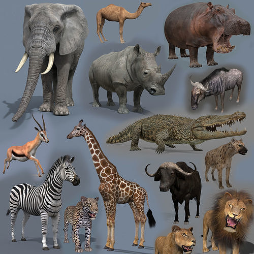 3d Images Of Animals