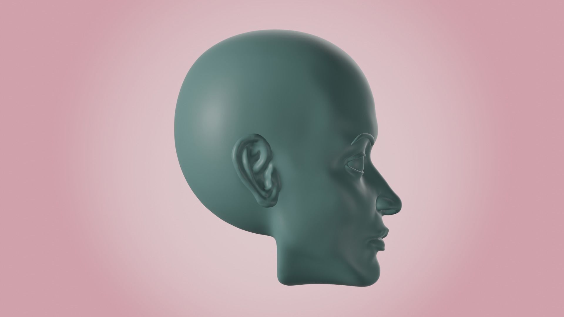 Female Head 01 - Human Face Anatomy Base Mesh 3D model | CGTrader