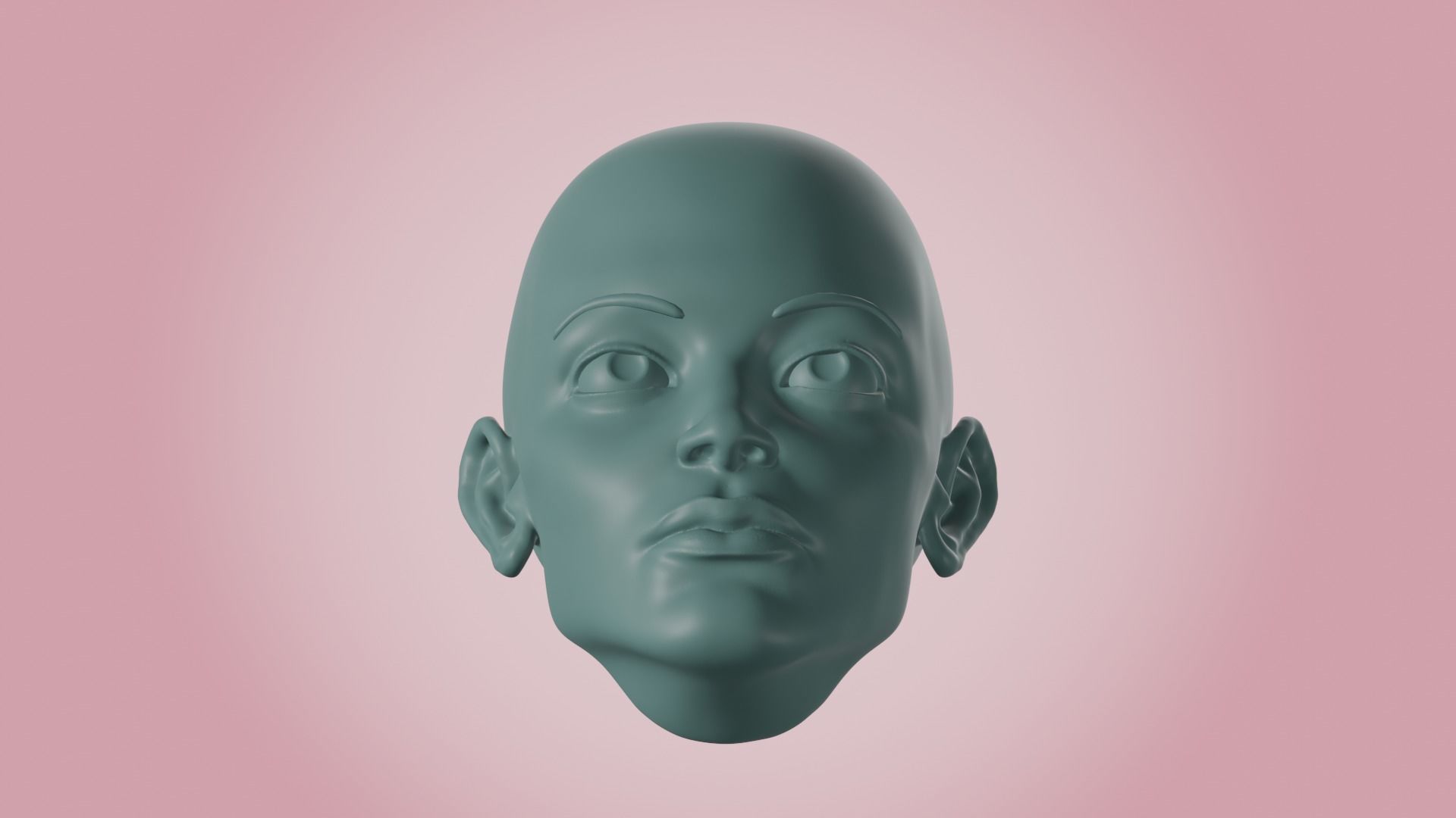 Female Head 01 - Human Face Anatomy Base Mesh 3D model | CGTrader