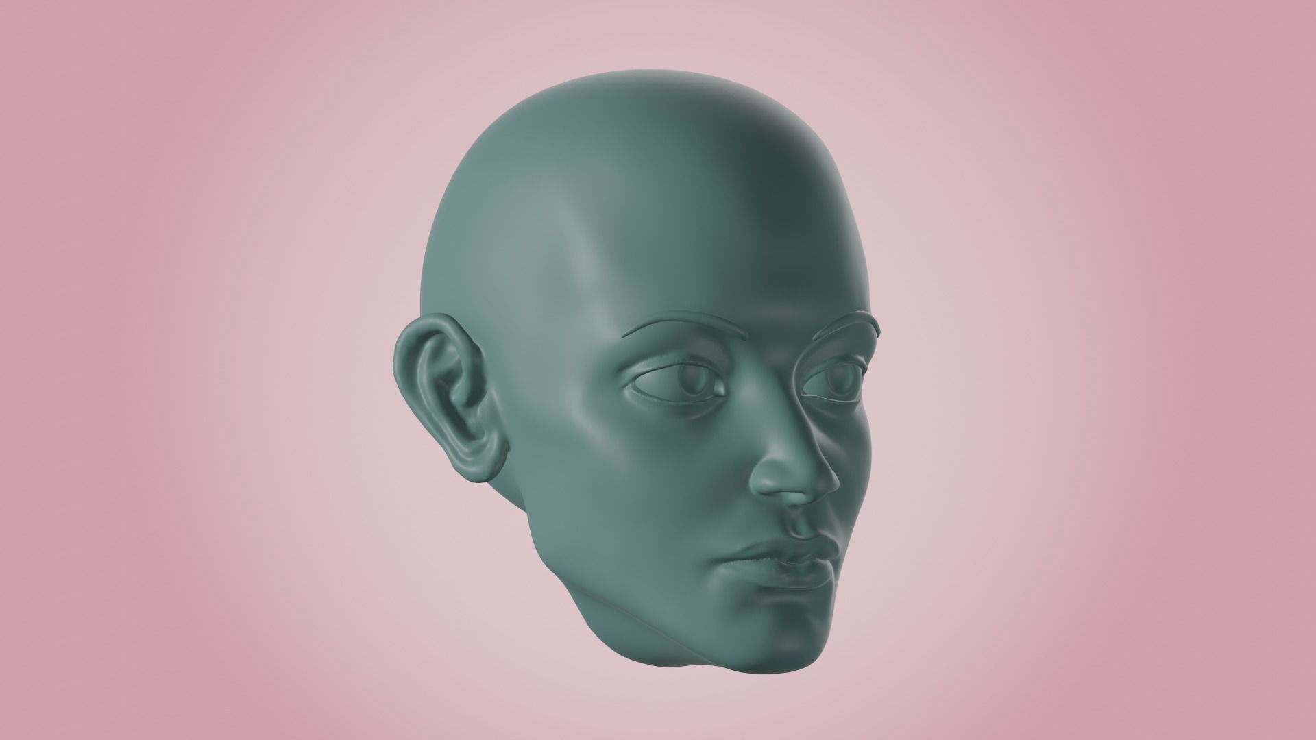 Female Head 01 - Human Face Anatomy Base Mesh 3D model | CGTrader