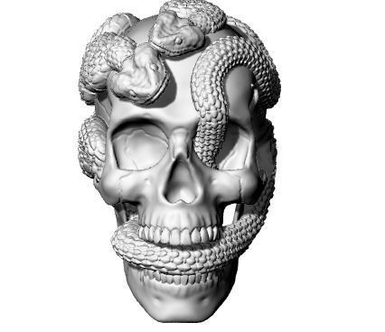 caveira com cobras 3D model 3D printable | CGTrader