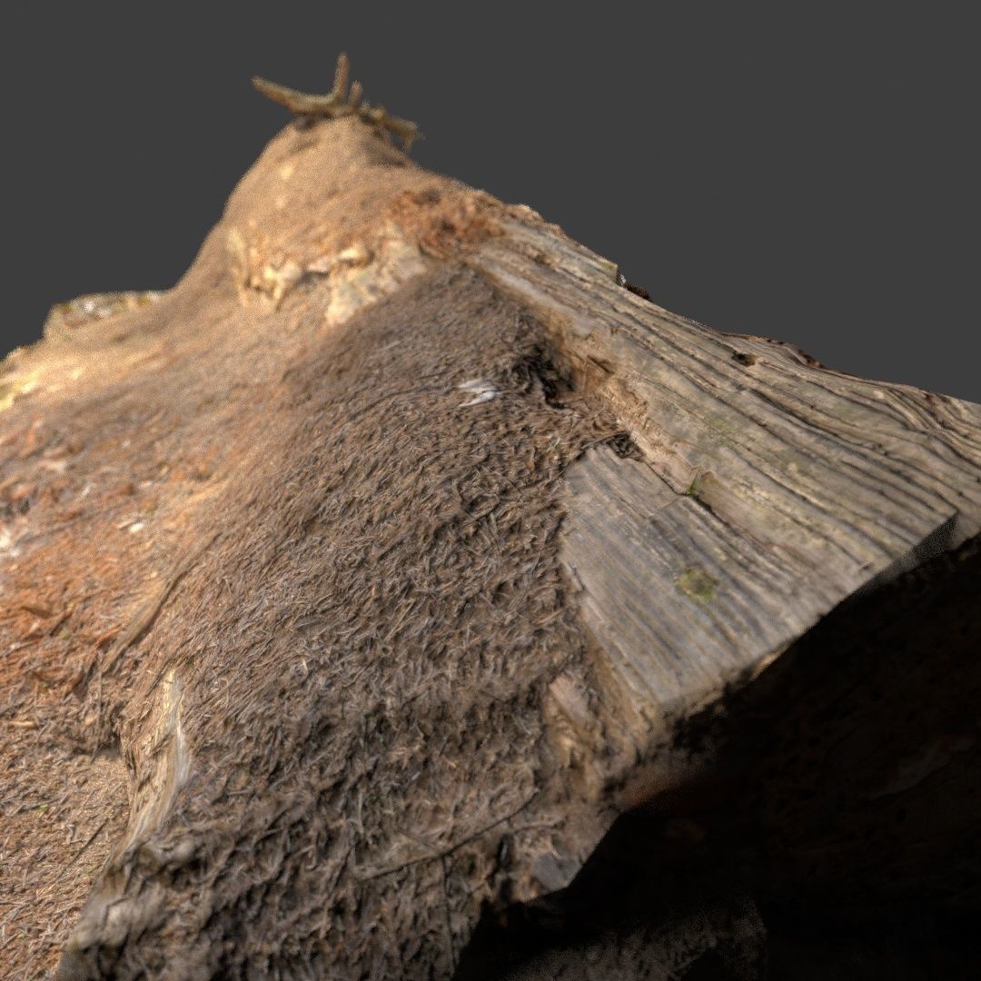 3D model Ant Nest Log VR / AR / low-poly | CGTrader