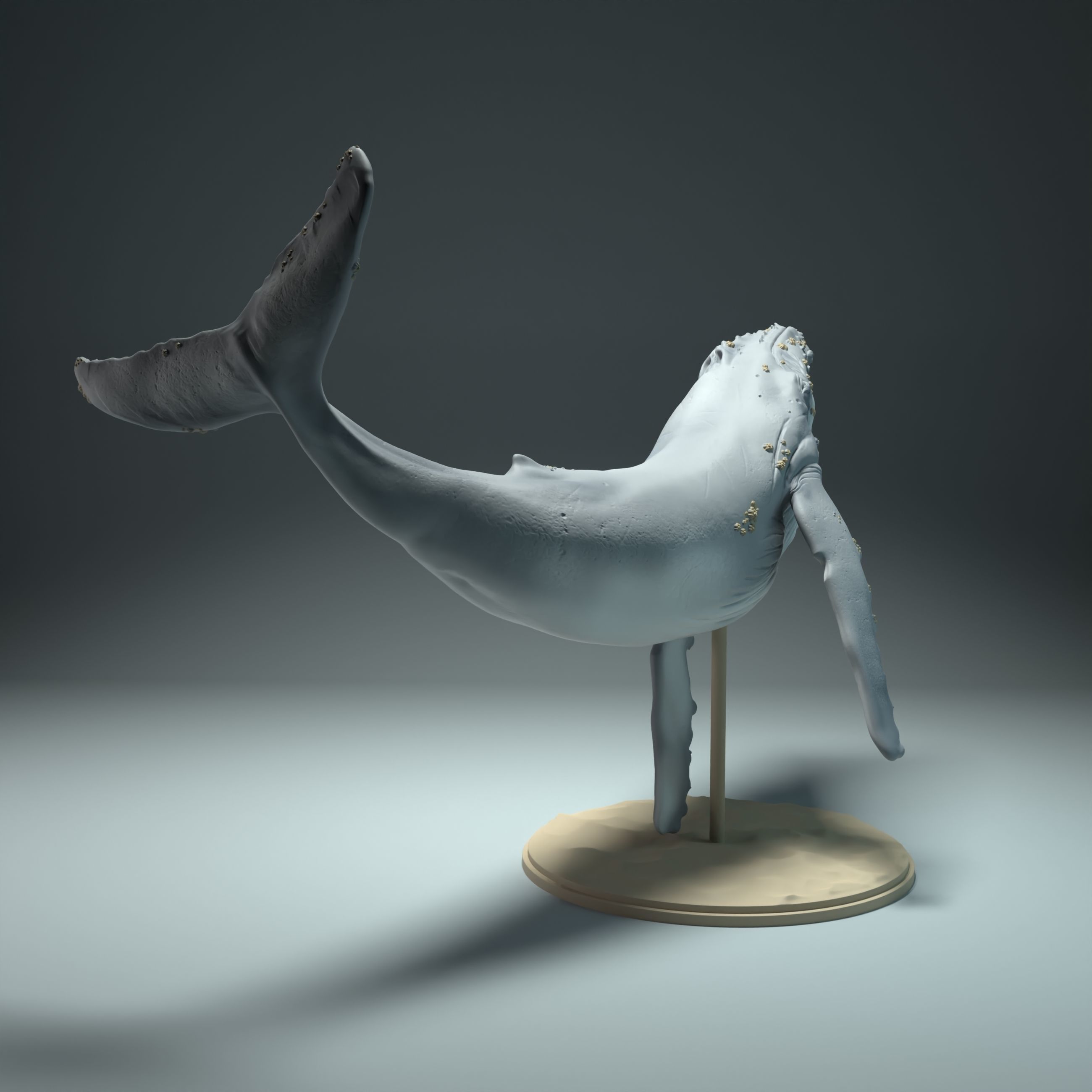 Humpback Whale 3D model 3D printable | CGTrader