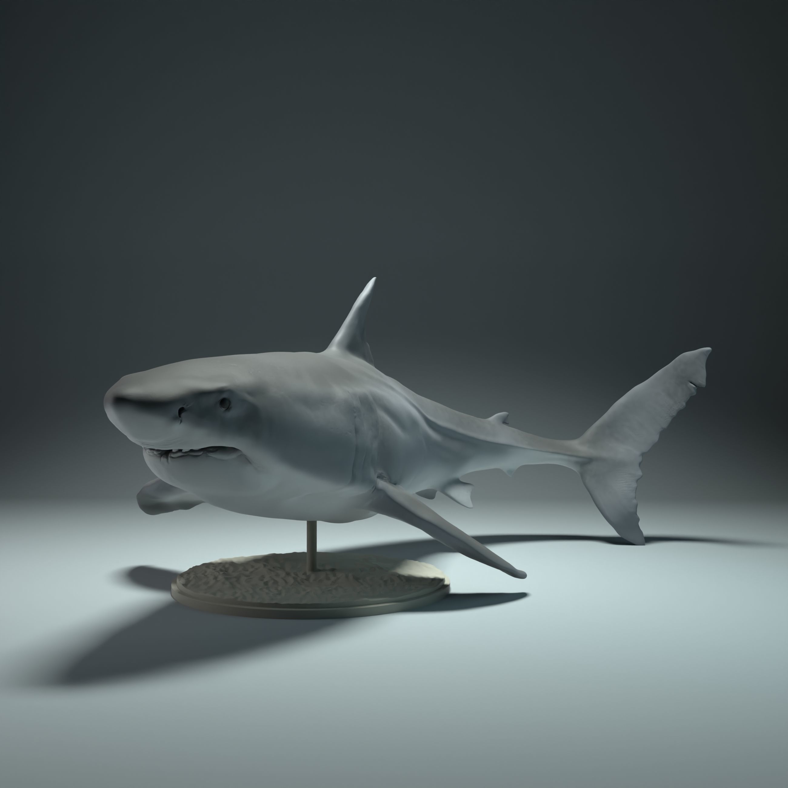 Great White Shark 3D model 3D printable | CGTrader