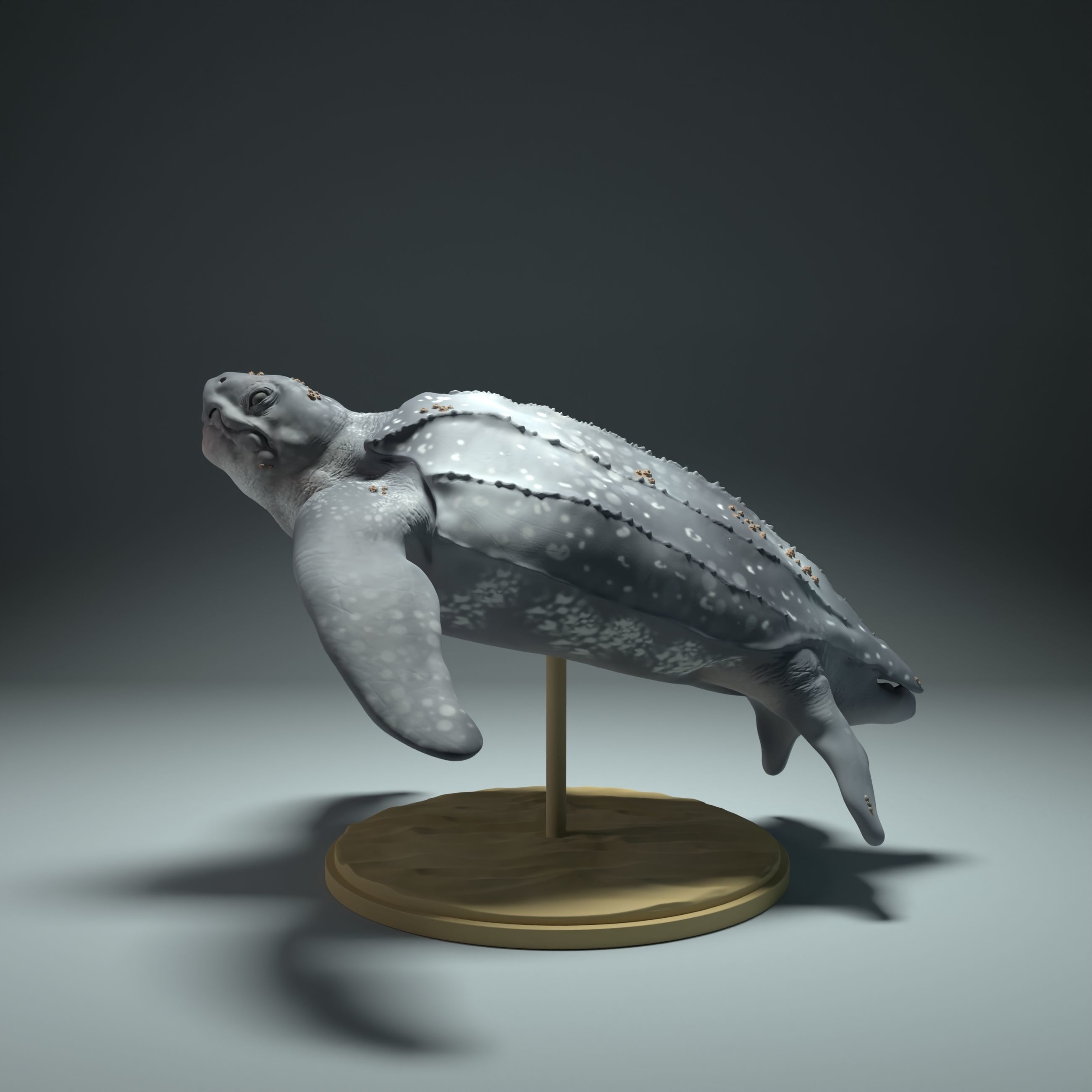 Leatherback Sea Turtle Swim 3D model 3D printable | CGTrader
