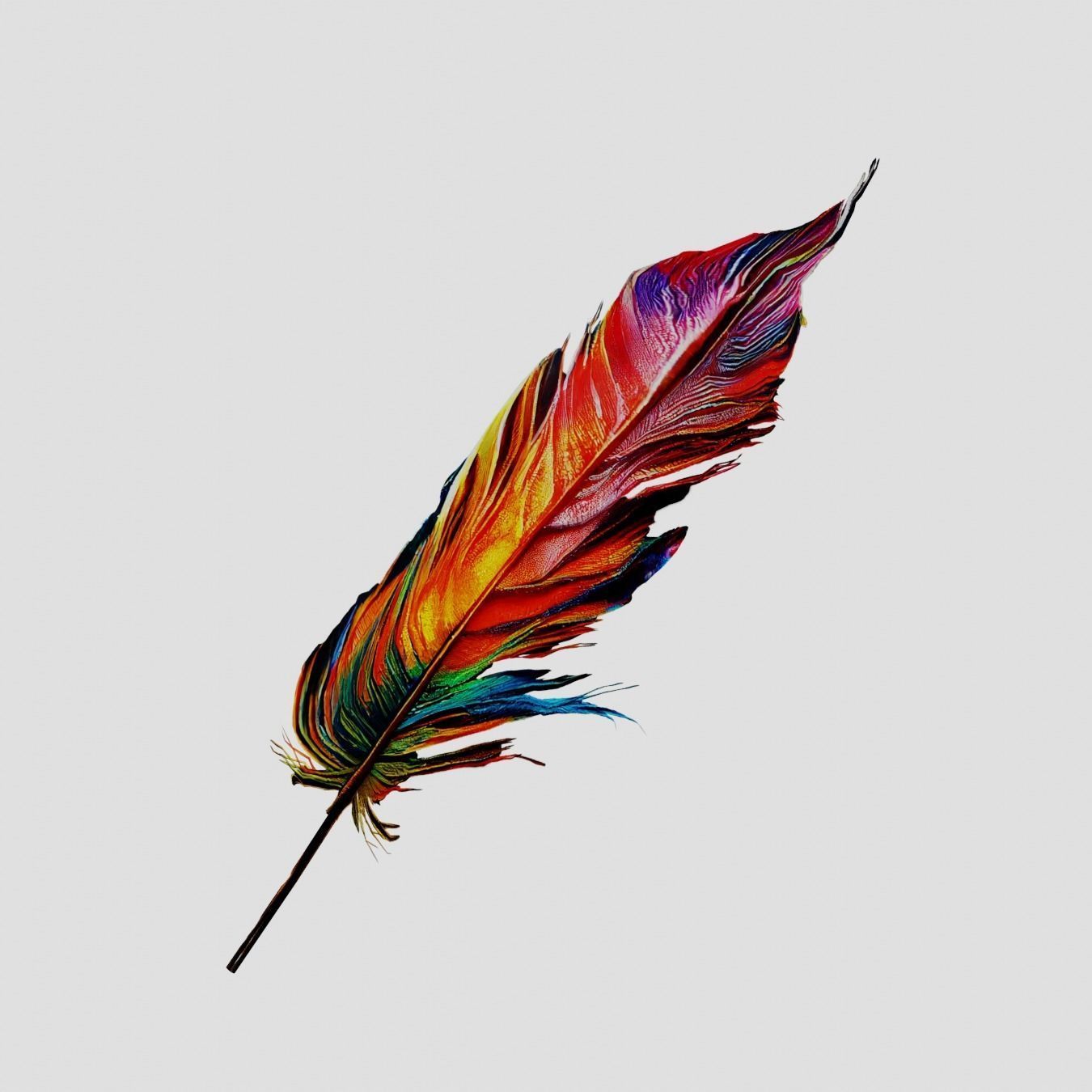 3D model Colorful Feathers VR / AR / low-poly | CGTrader