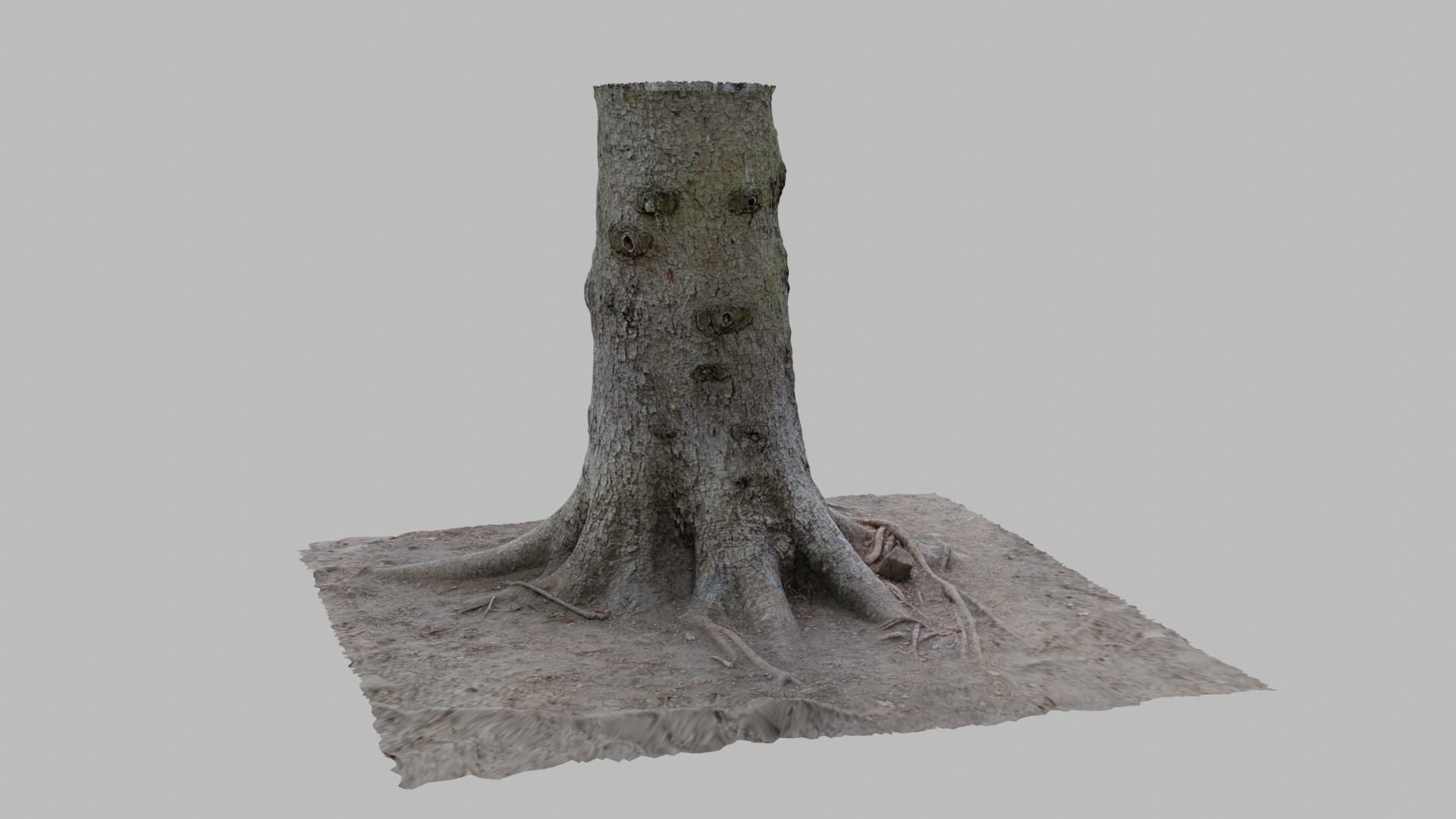 Pine Tree Trunk - Photoscan 3D Model - Varying LOD free VR / AR / low ...
