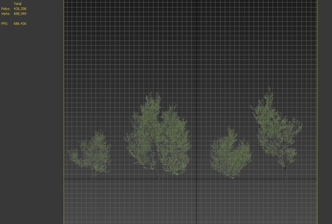 Young olive tree 3D model | CGTrader