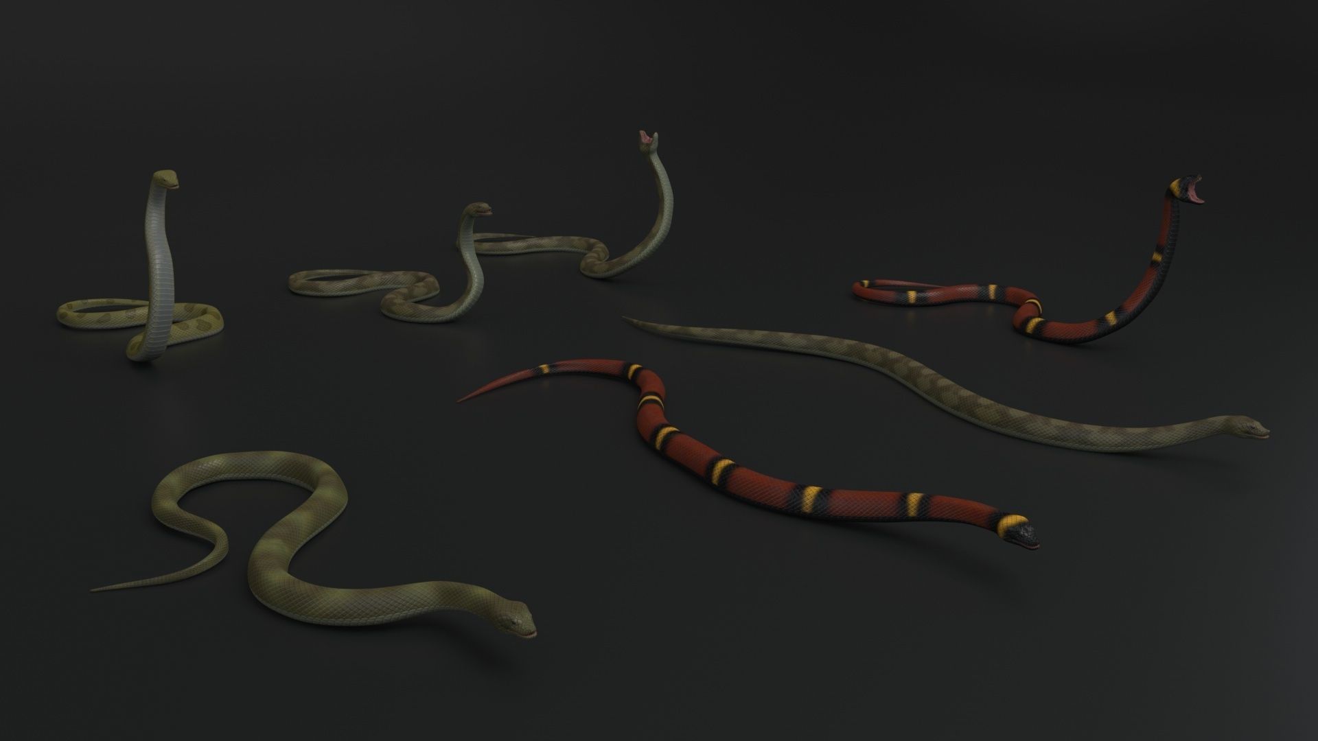 Snake Rigged and Animated 3D model animated rigged | CGTrader