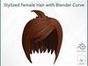 3D model Stylize Female Hair with Blender curve 4 VR / AR / low-poly ...