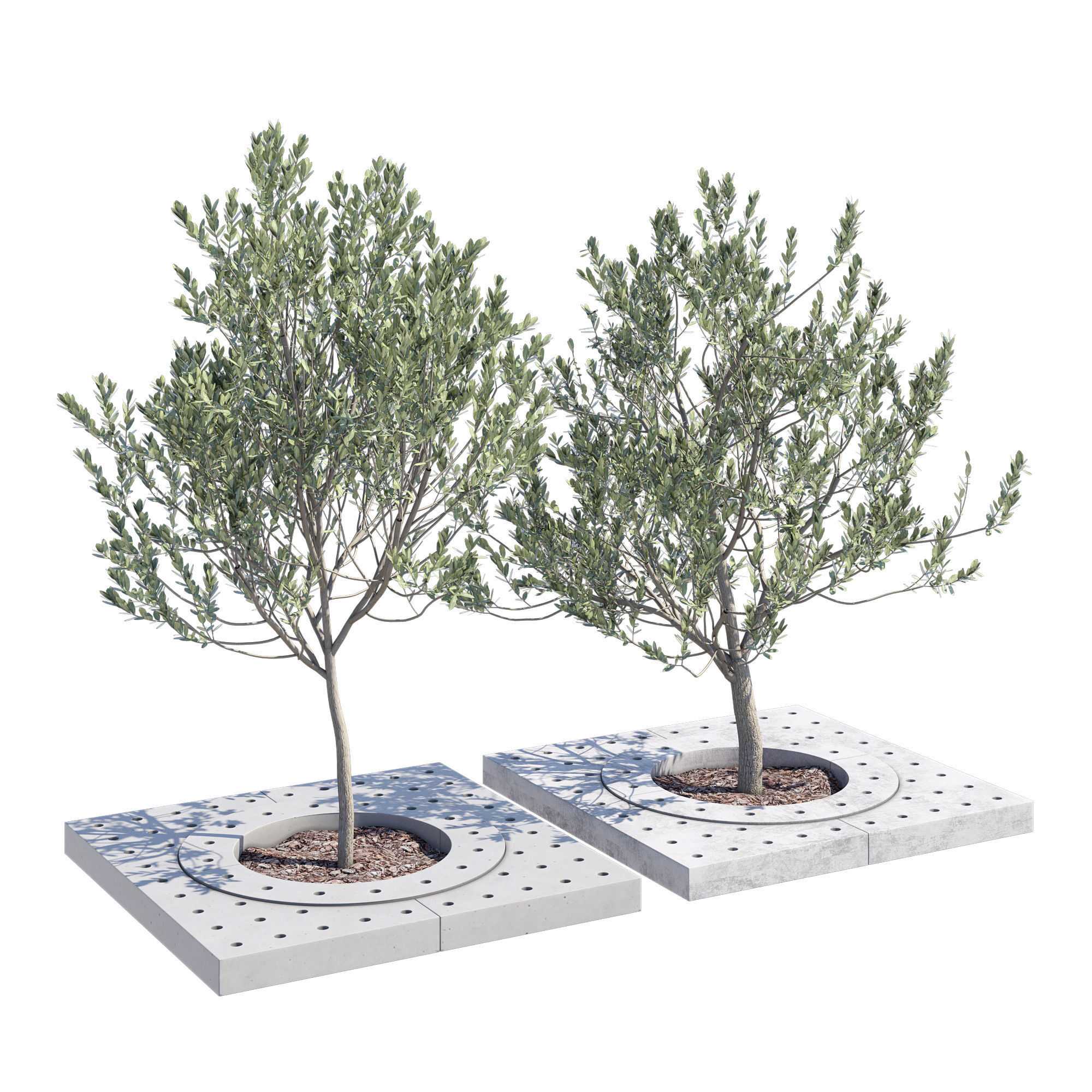 Surrounds two trees in concrete planter 3D model | CGTrader