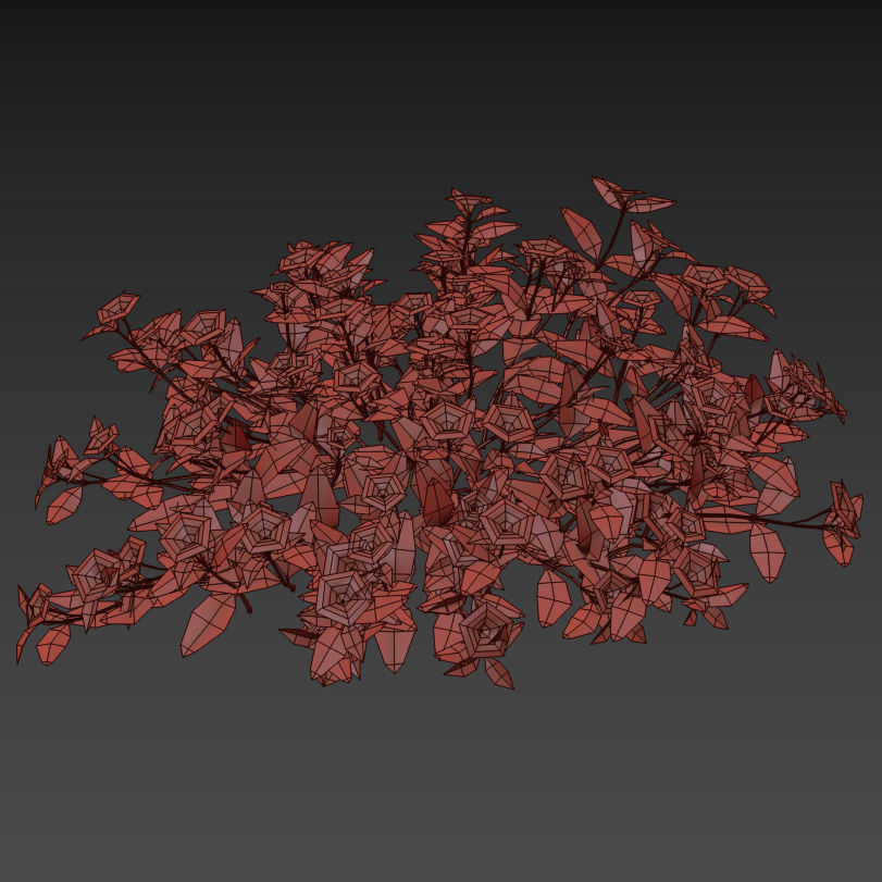 Vinca minor 3D model | CGTrader