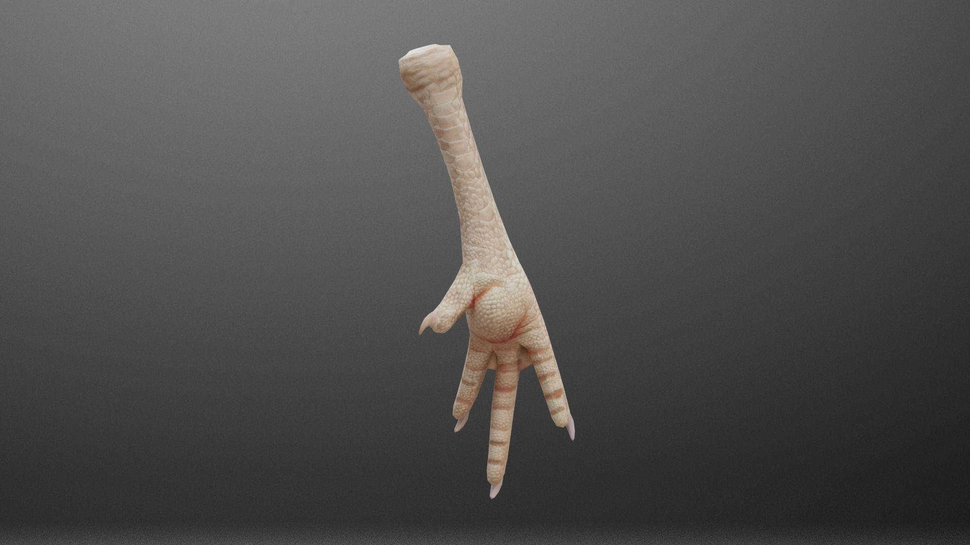 3D model Chicken foot VR / AR / low-poly | CGTrader