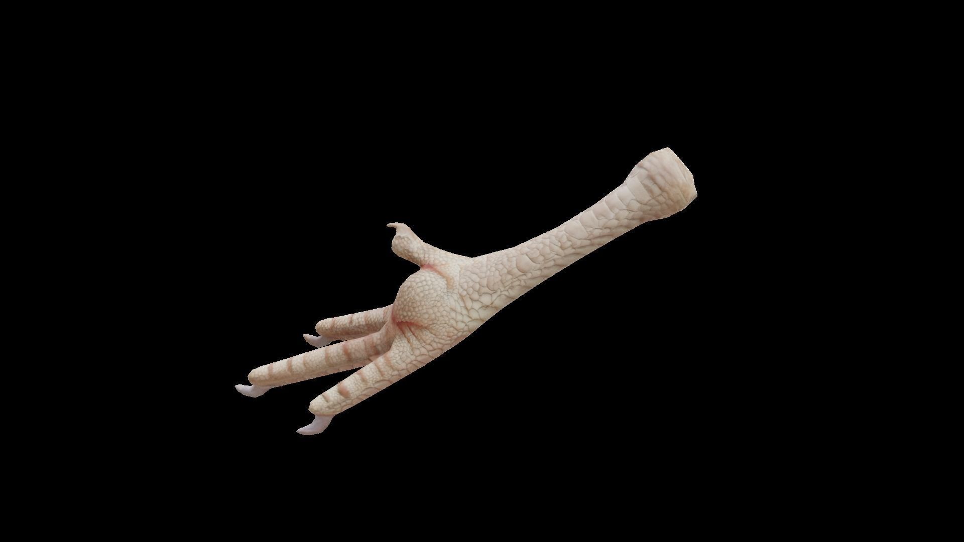 3D model Chicken foot VR / AR / low-poly | CGTrader