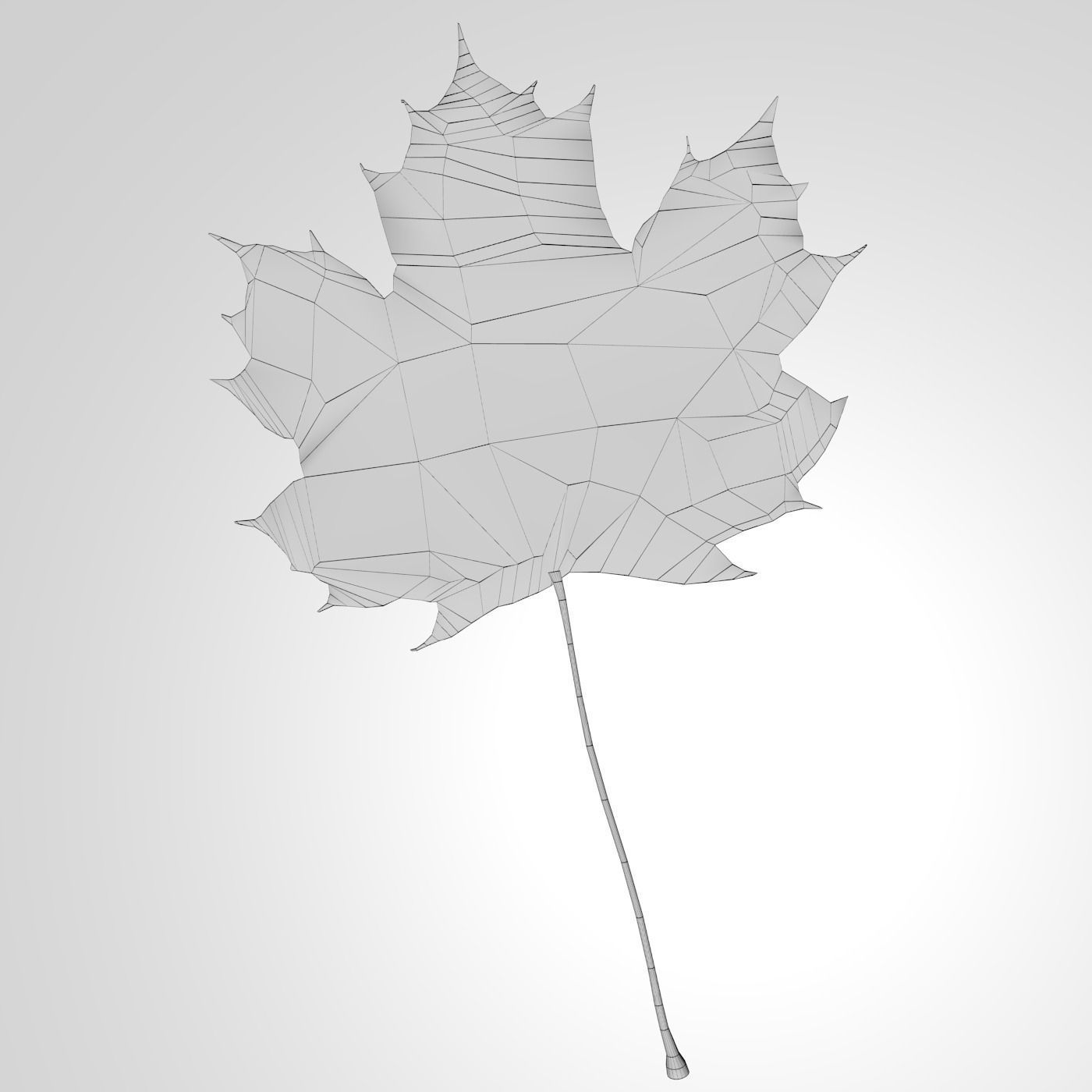 Maple leaf 3D model | CGTrader