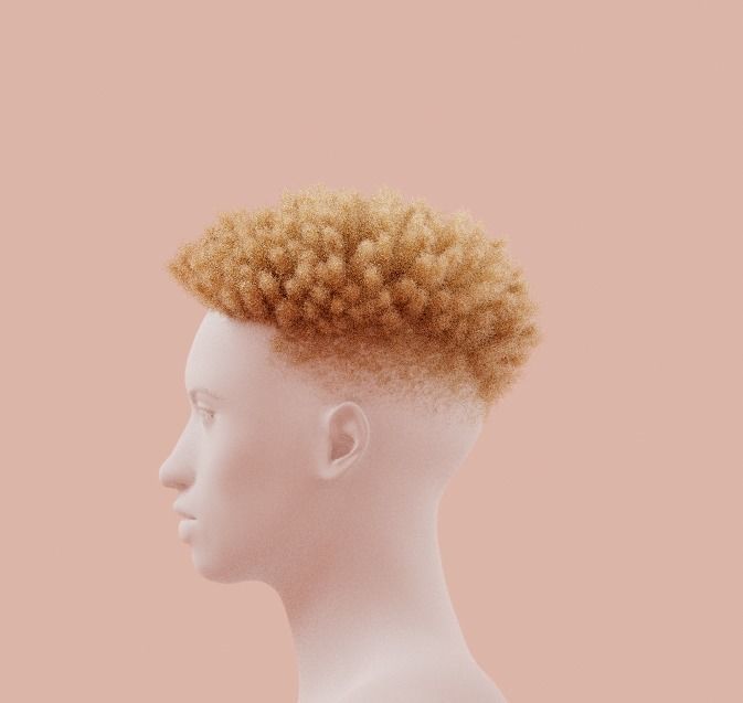 Afro Taper Fade 3D model | CGTrader